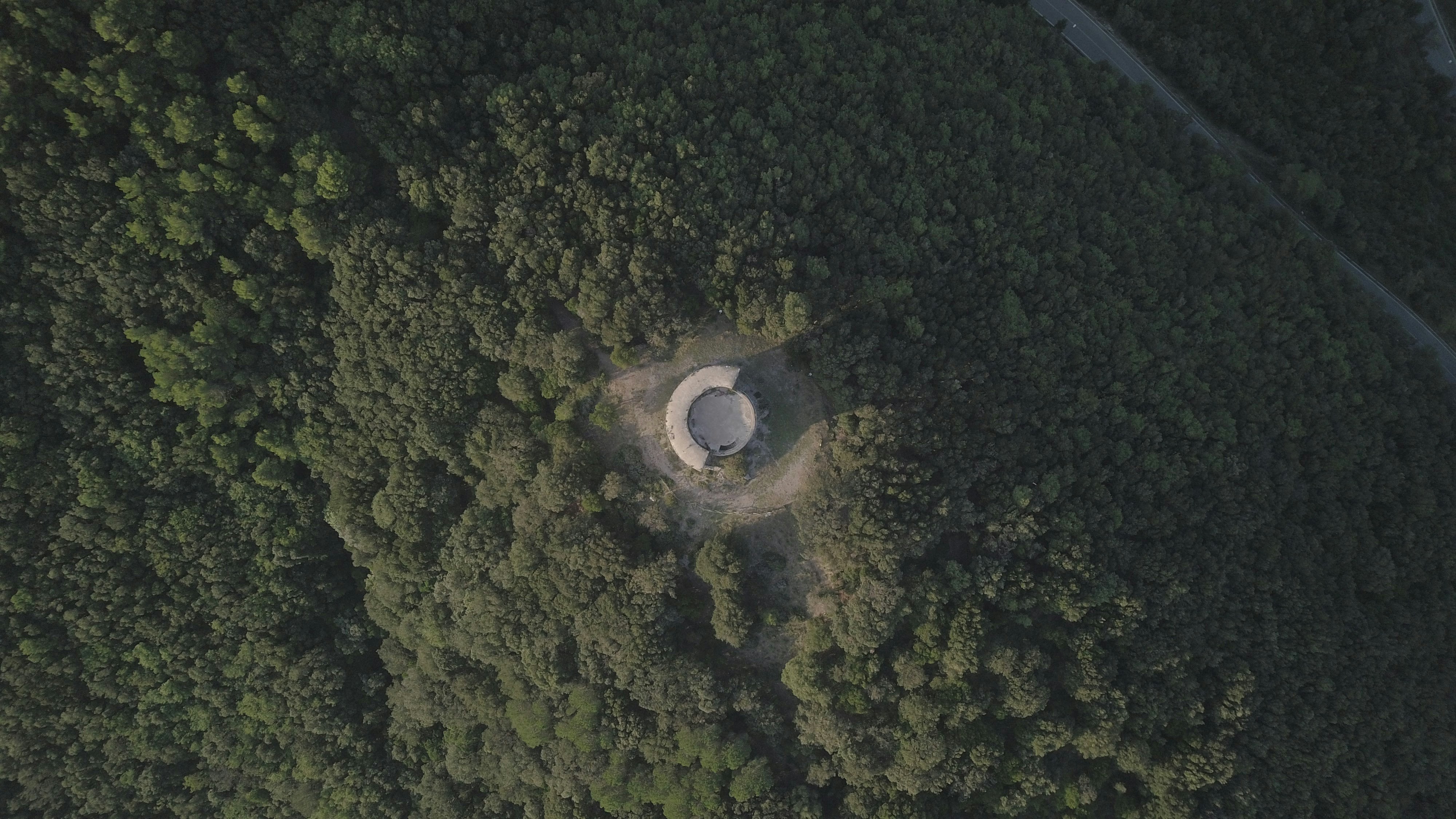 Circular clearing surrounded by dense green forest viewed from above.