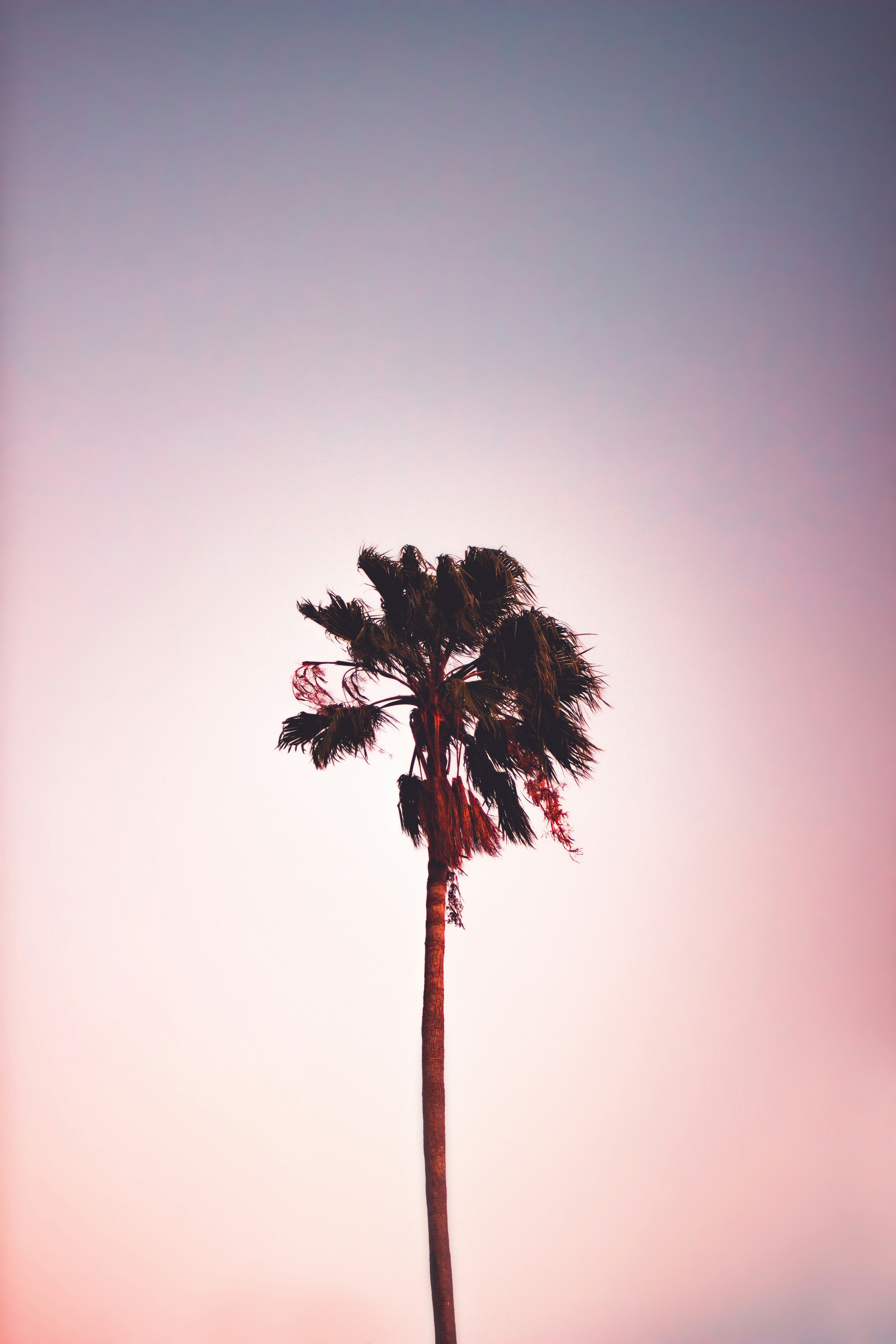 Grayson Smith (@basicallygray) | Unsplash Photo Community