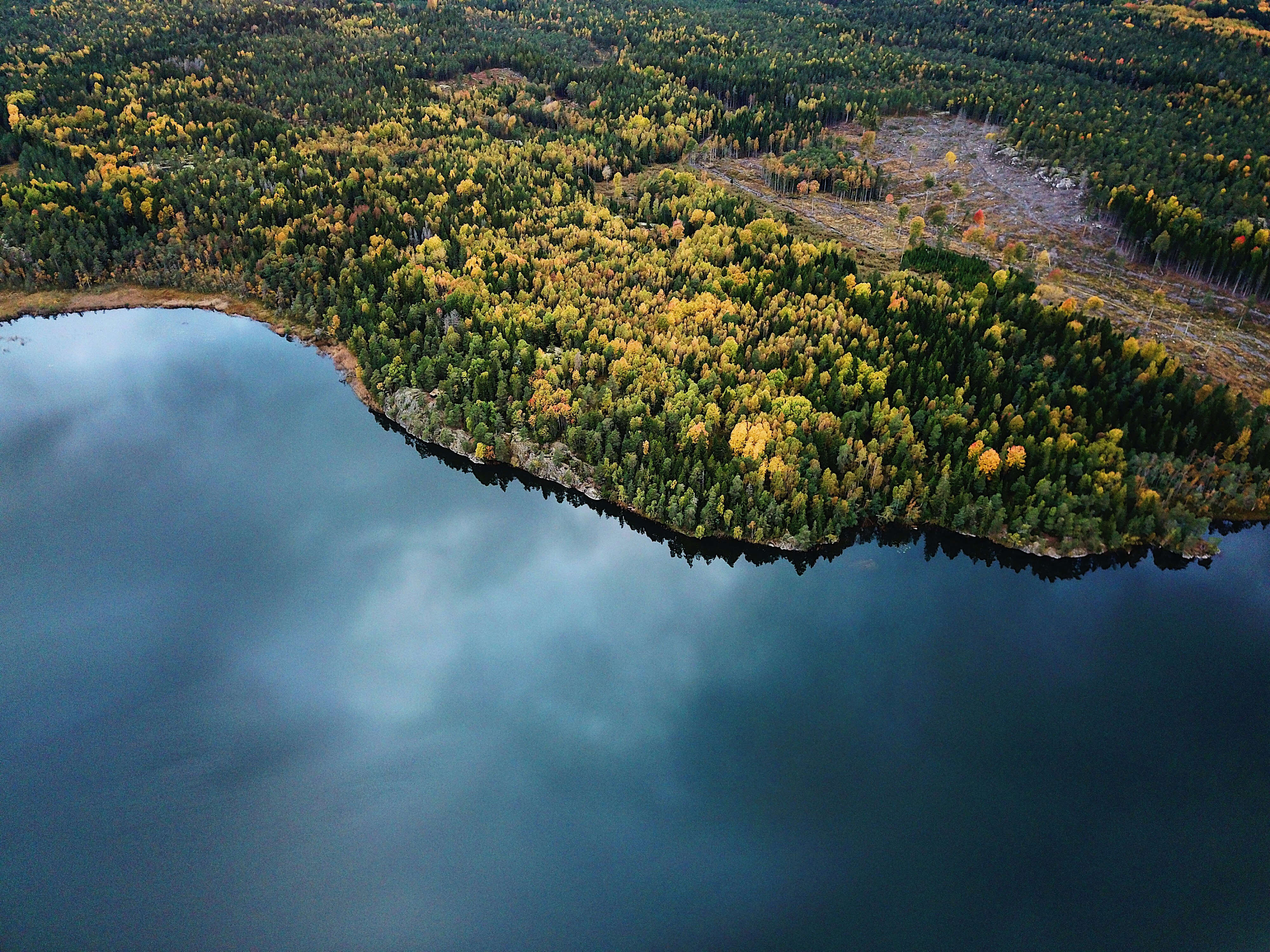 Vibrant autumn foliage meets tranquil waters, showcasing a harmonious blend of nature's palette. Aerial view reveals the intricate shoreline and forest patterns.