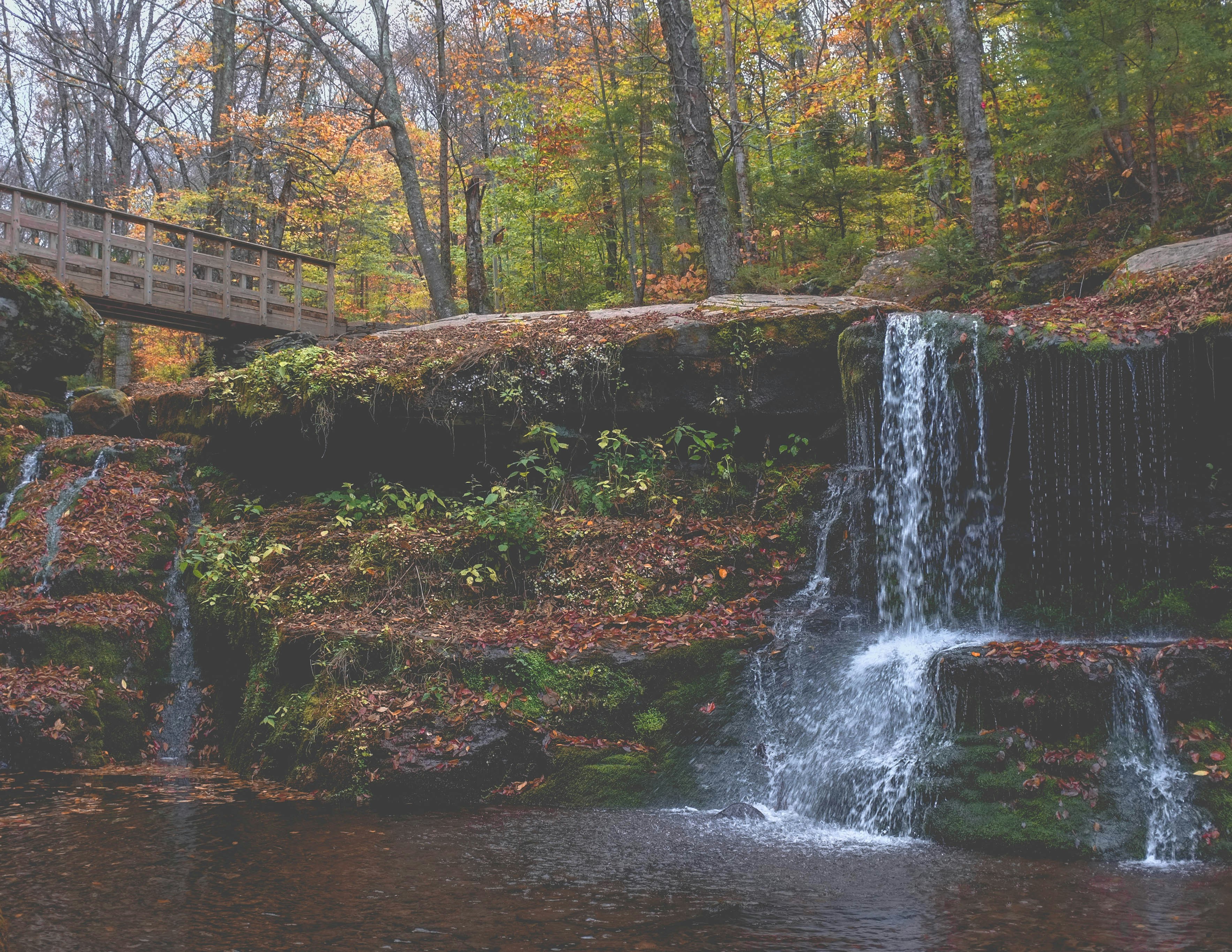 Courtney Read (@readintoit) | Unsplash Photo Community