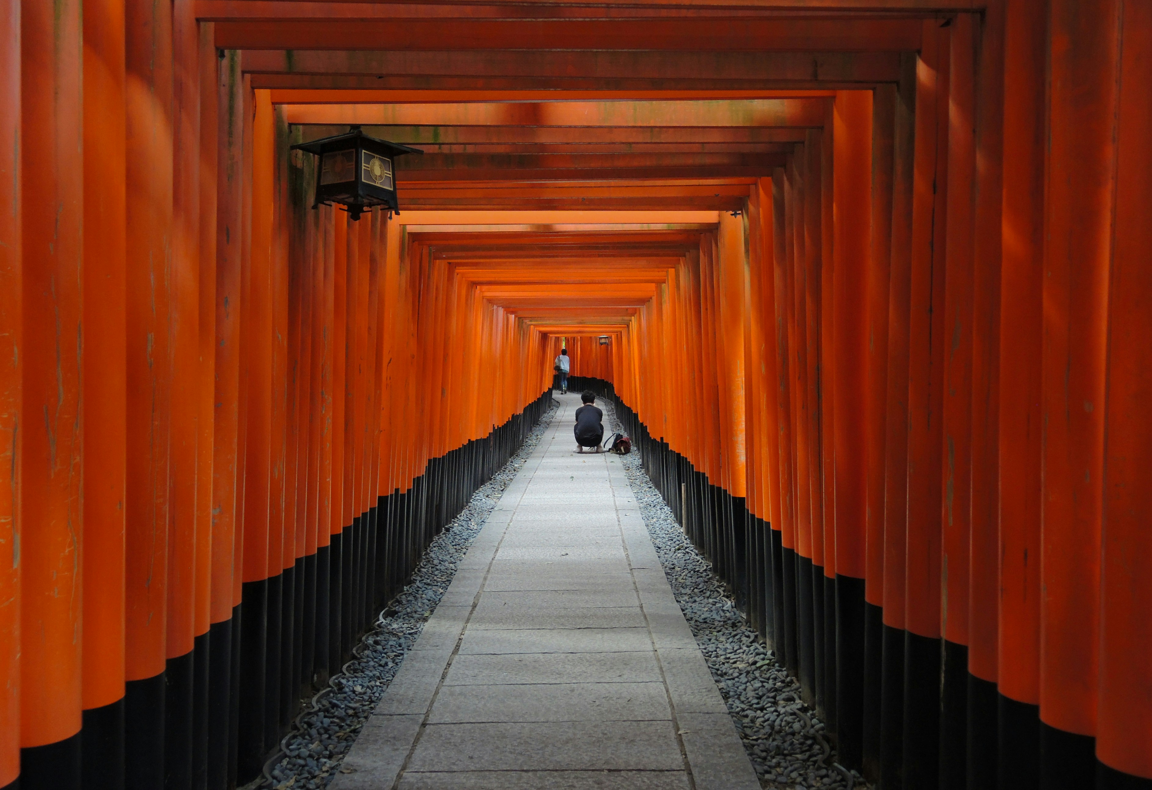 Person sitting along a path lined with vibrant red torii gates, creating a tunnel-like effect.