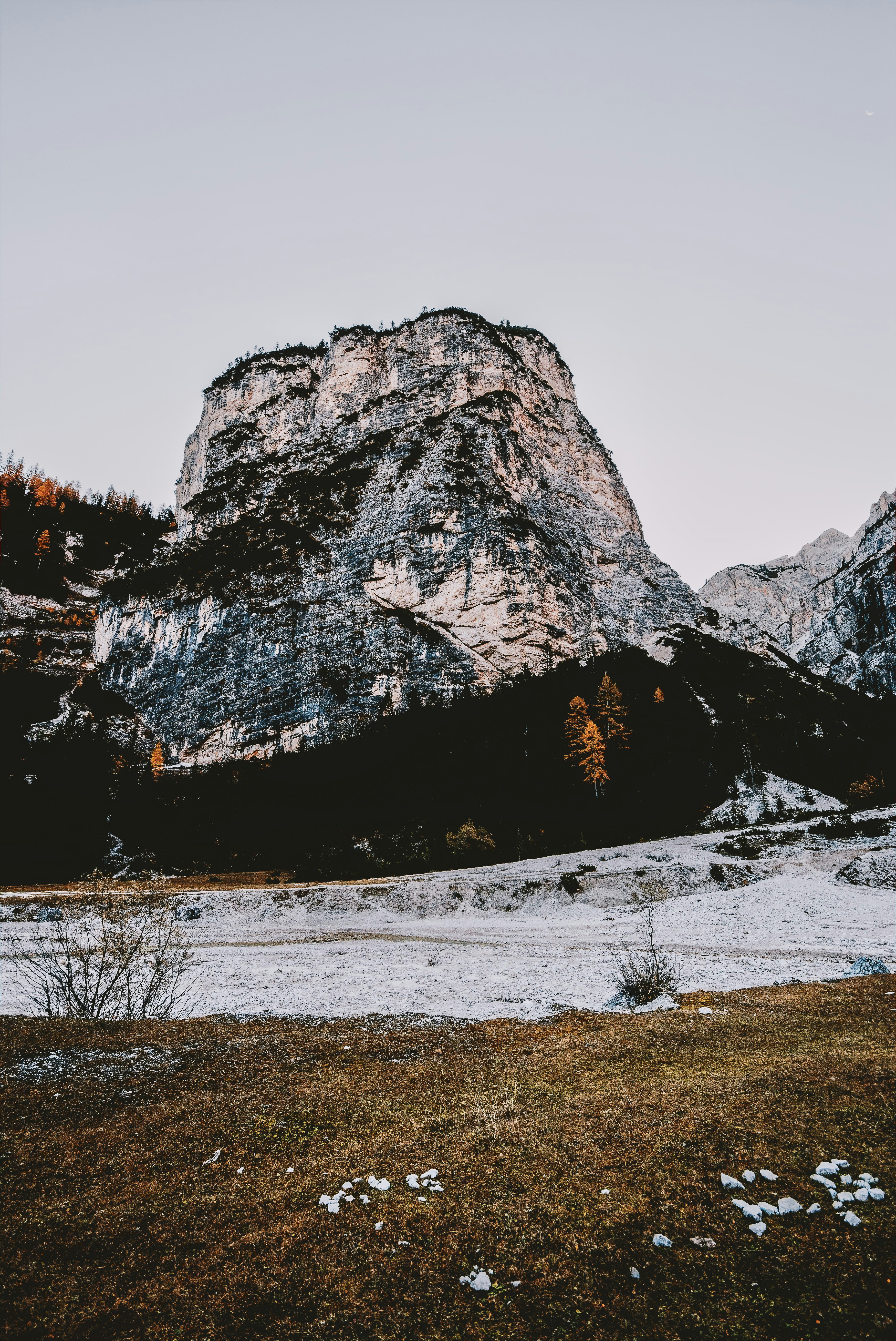 Définition de fane | Dictionnaire français