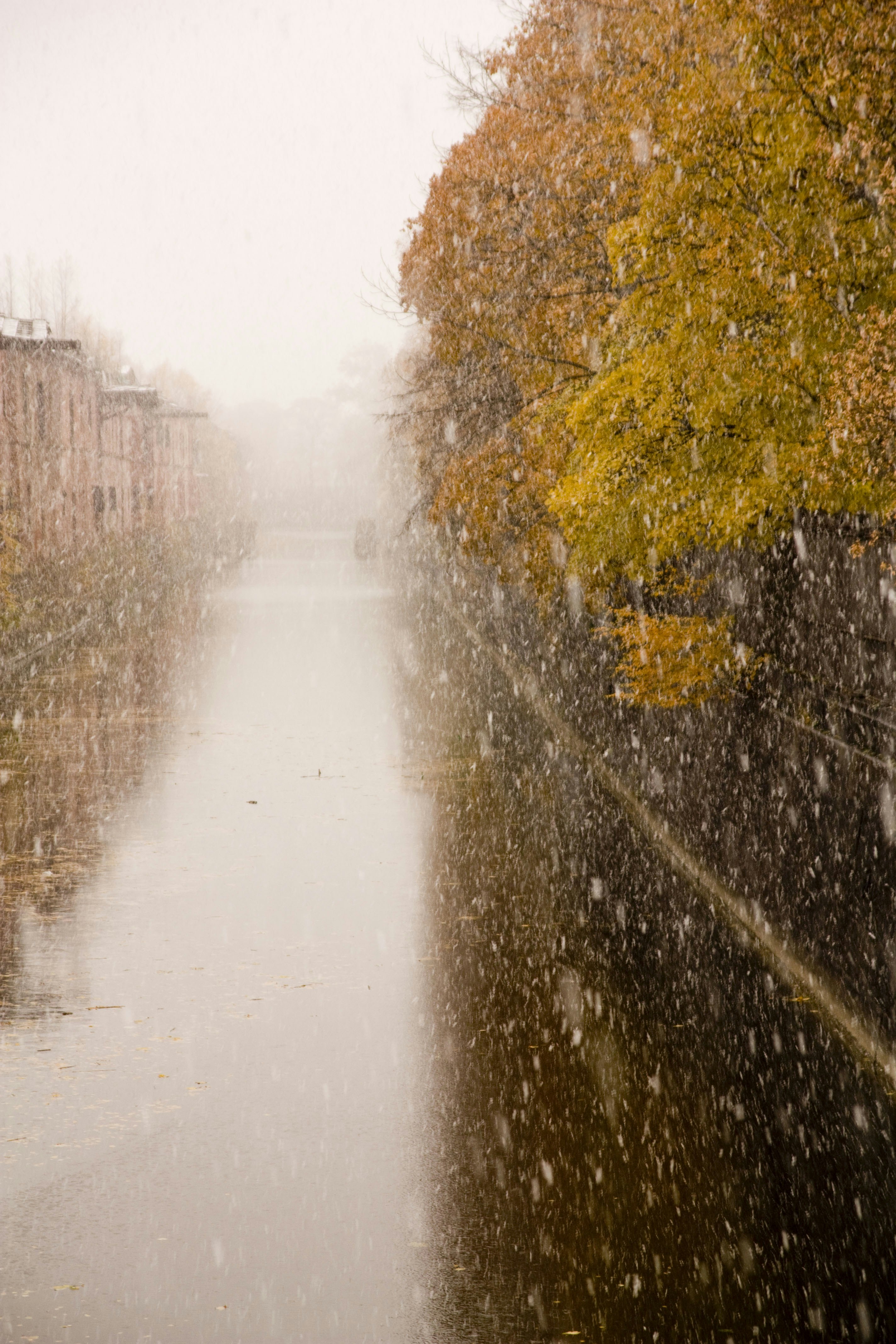 Whispers of Autumn in the Snow