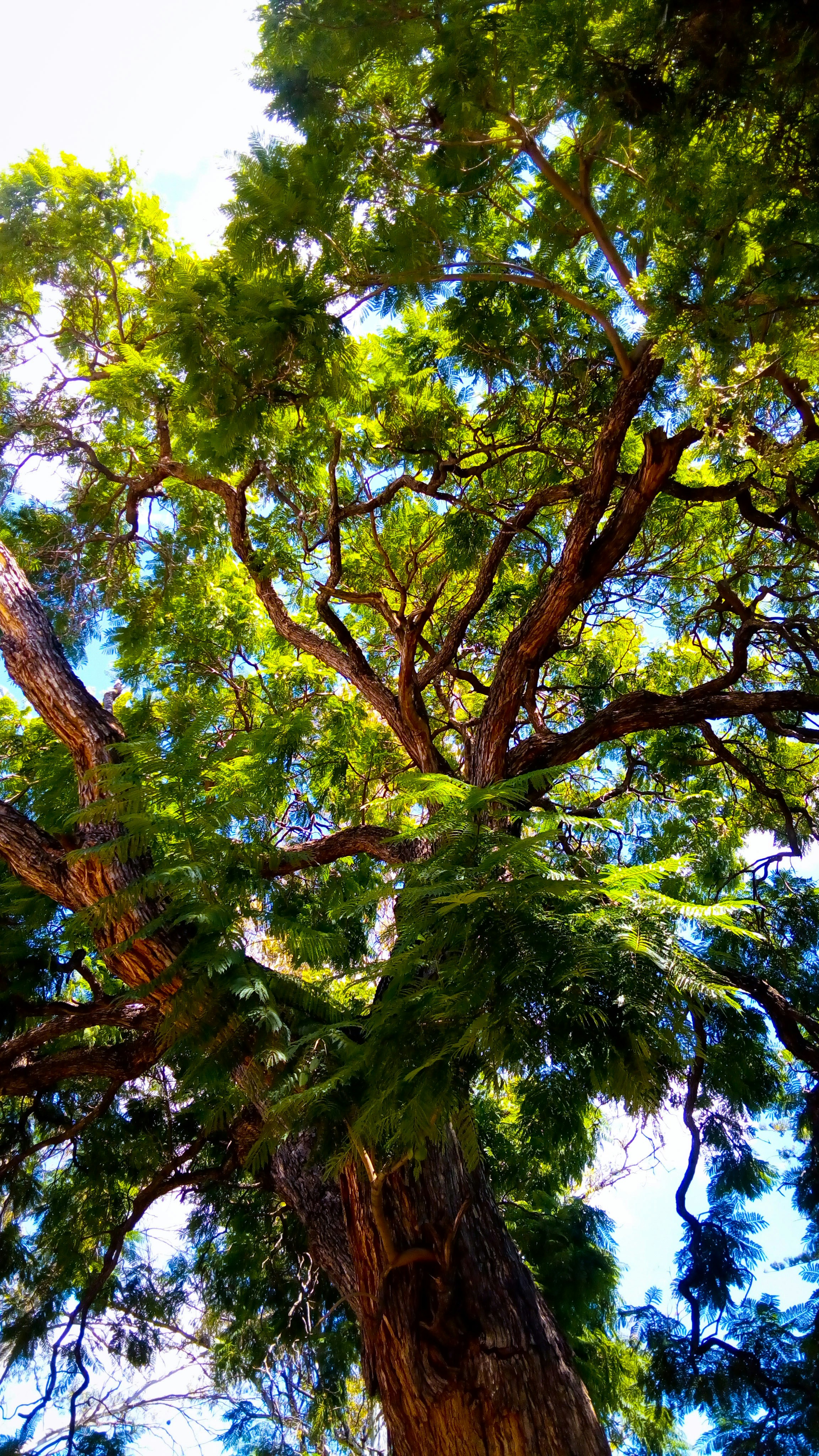 Christopher Julio Hernandez (@pogo_74070) | Unsplash Photo Community