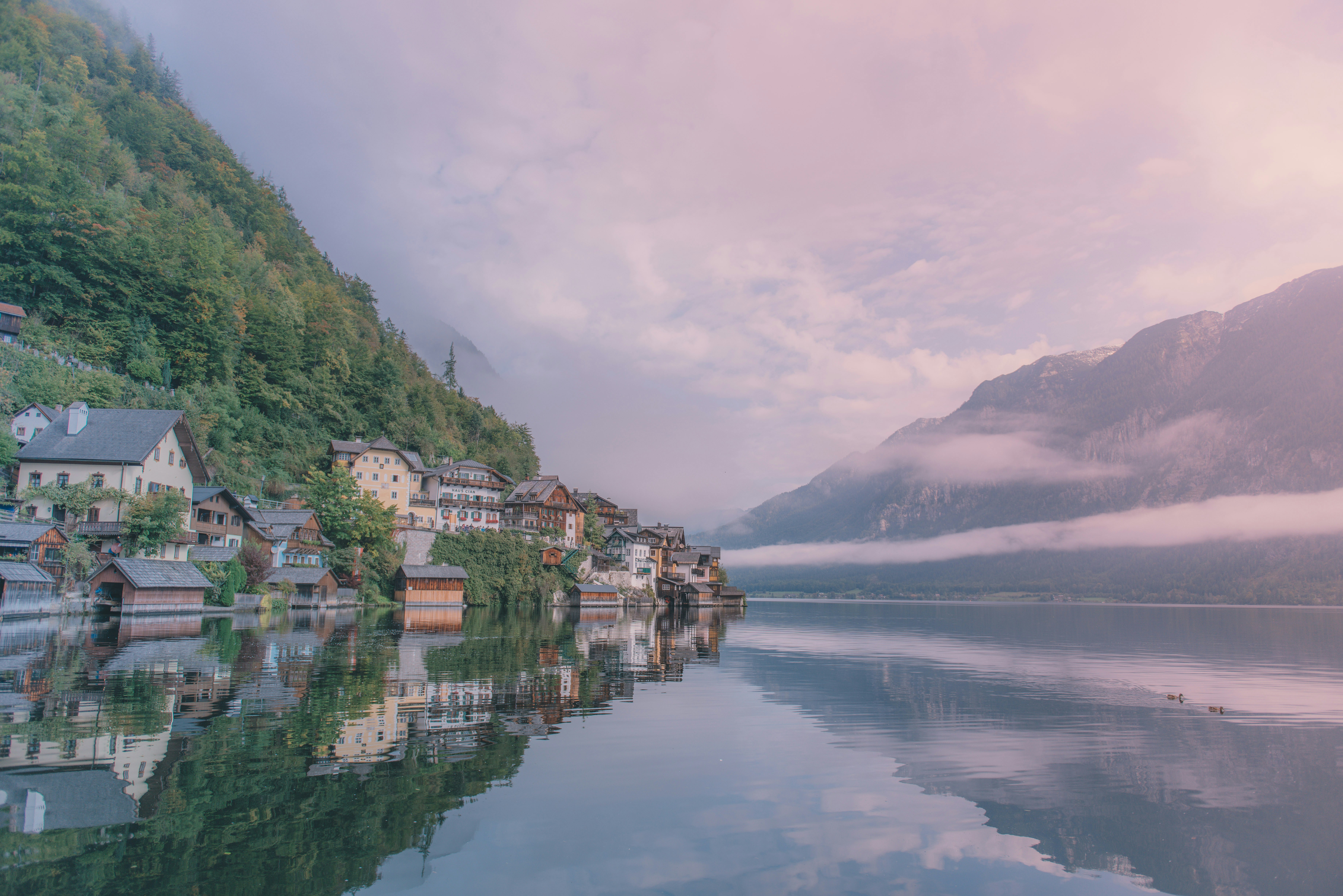 Meiying Ng (@meiying) | Unsplash Photo Community