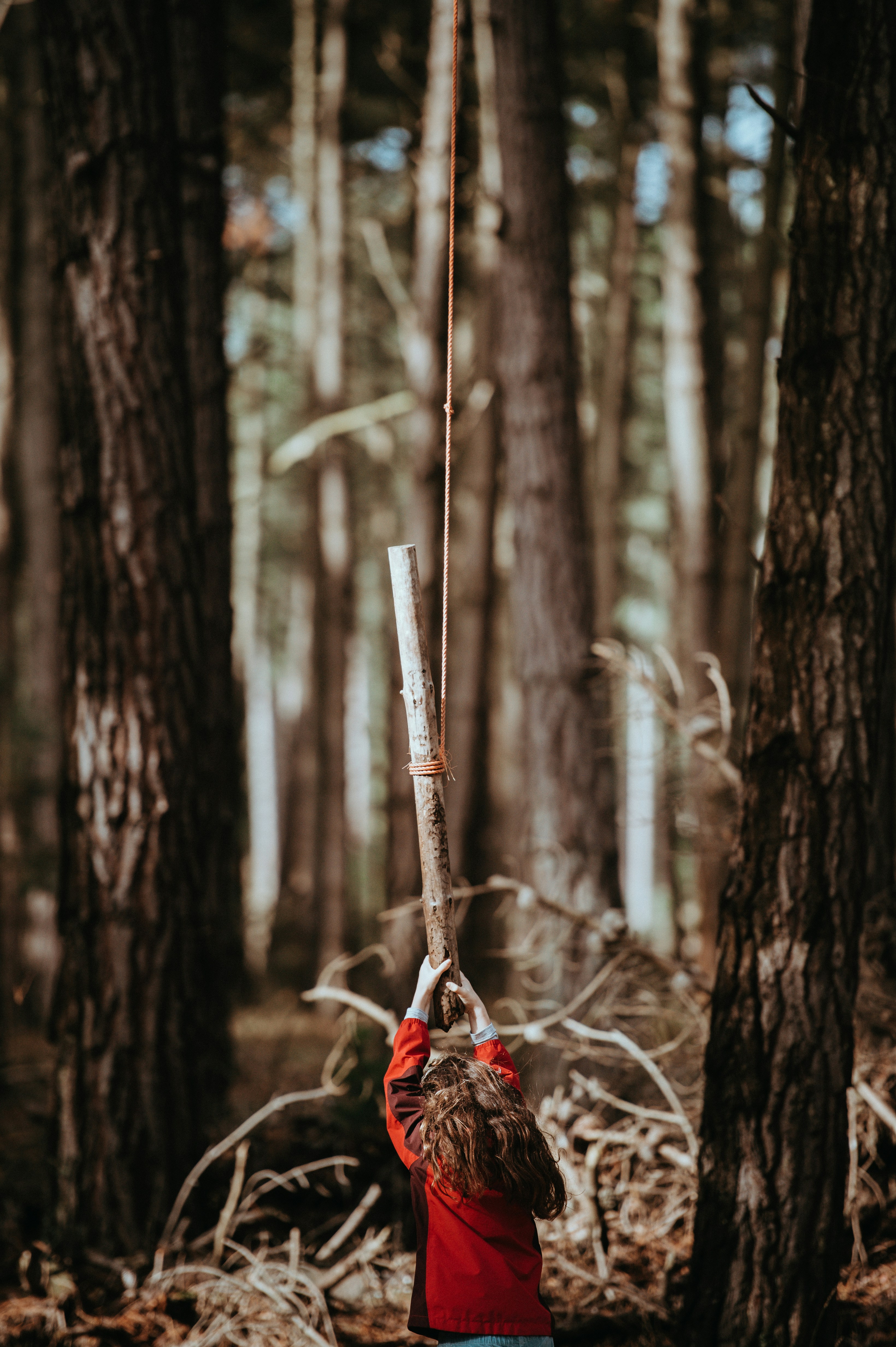 Polebound in the Pines: a child lifts a rope-bound wooden pole among towering pines