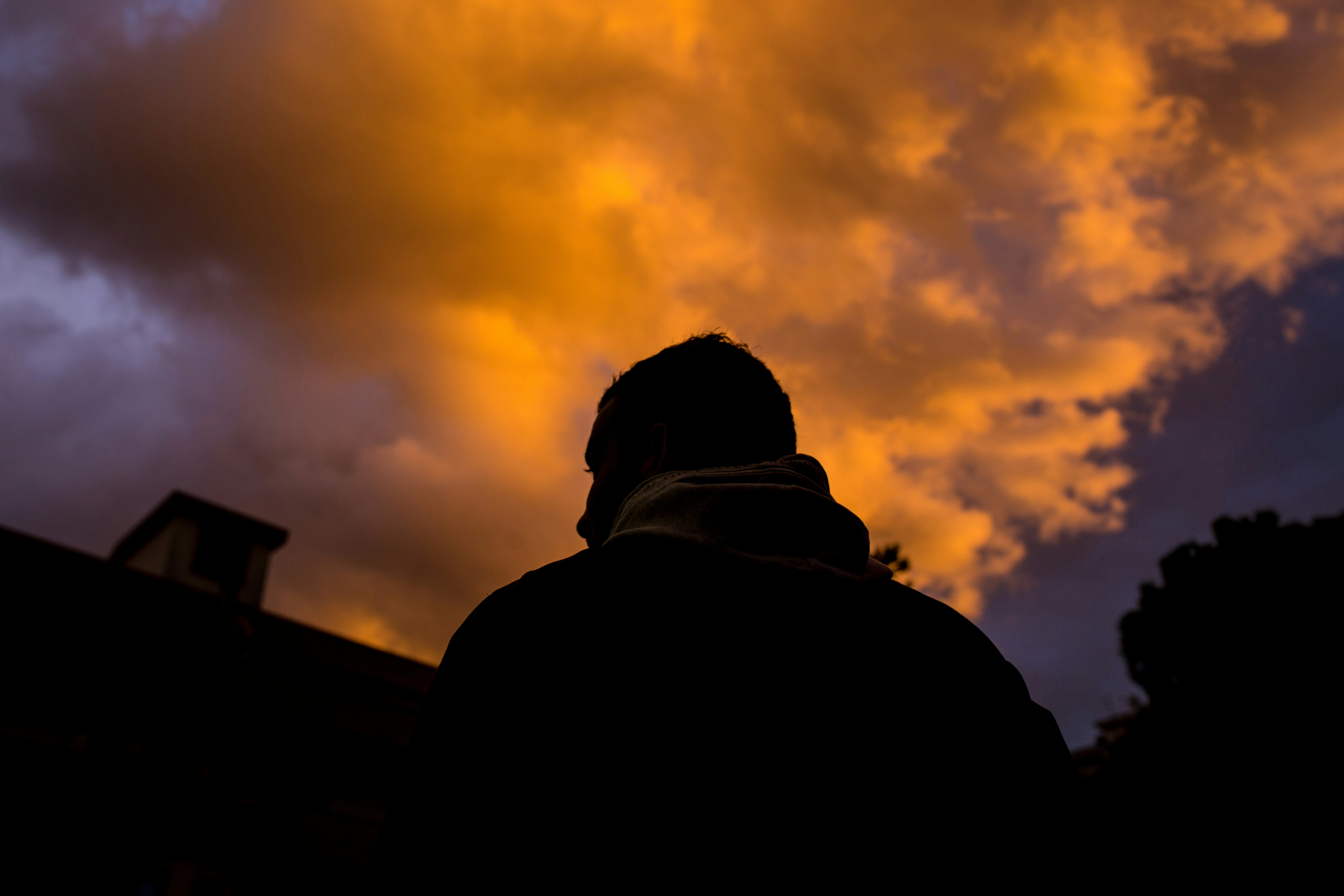 Stefano Pollio (@stefanopollio) | Unsplash Photo Community