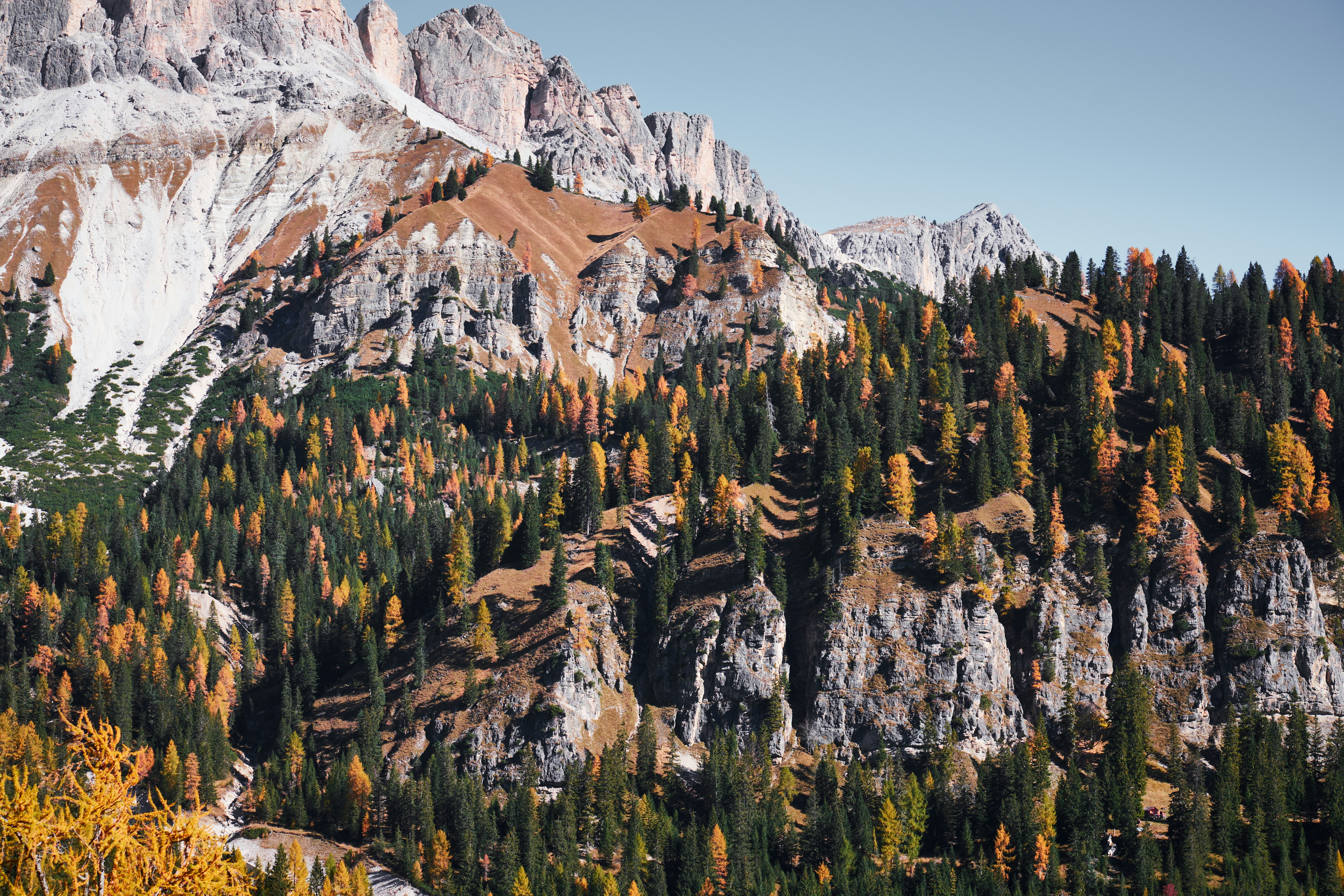 Green leafed tree near rock formation photo – Free Forest Image on Unsplash