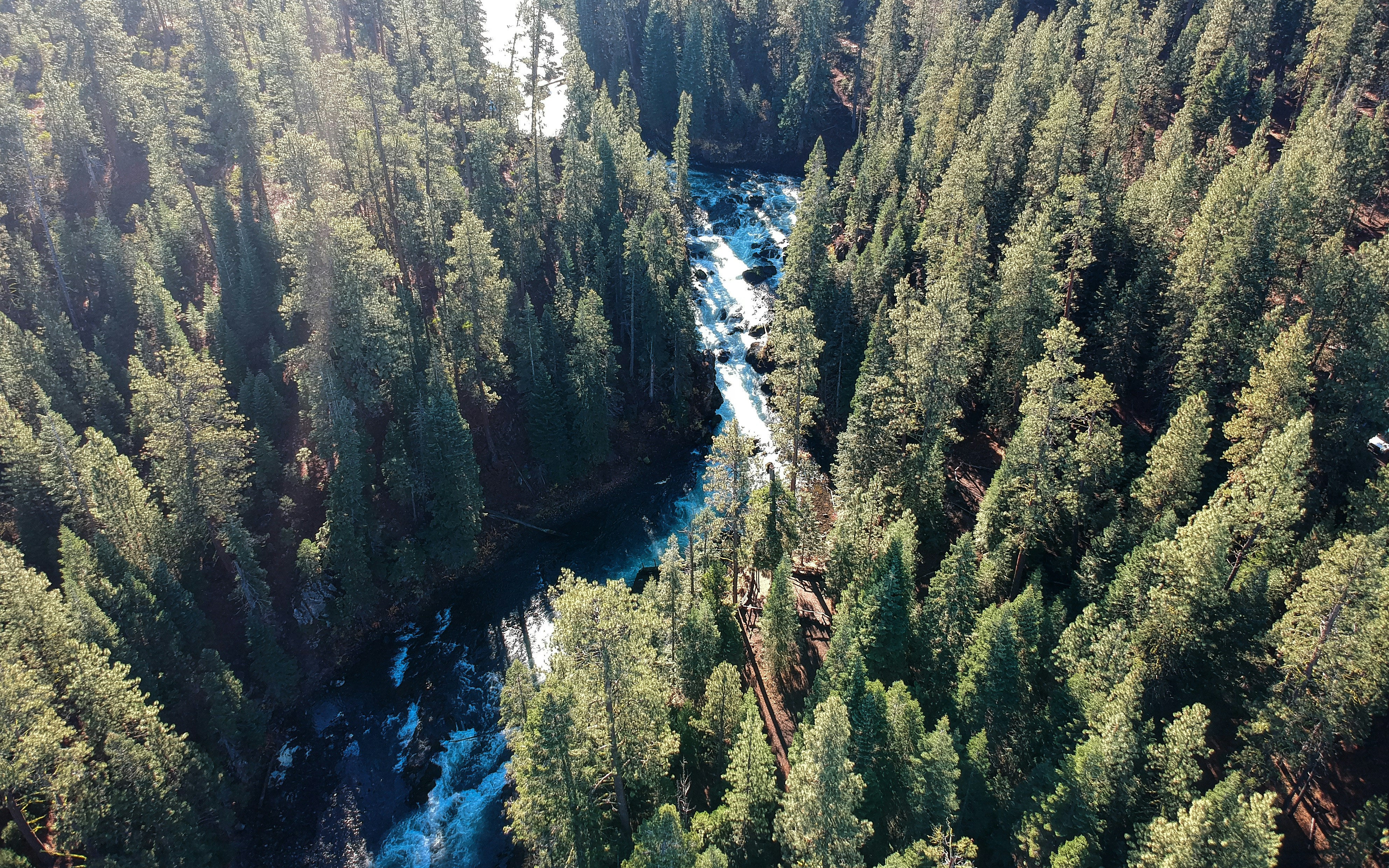 Benham Falls | areal photography of pine trees