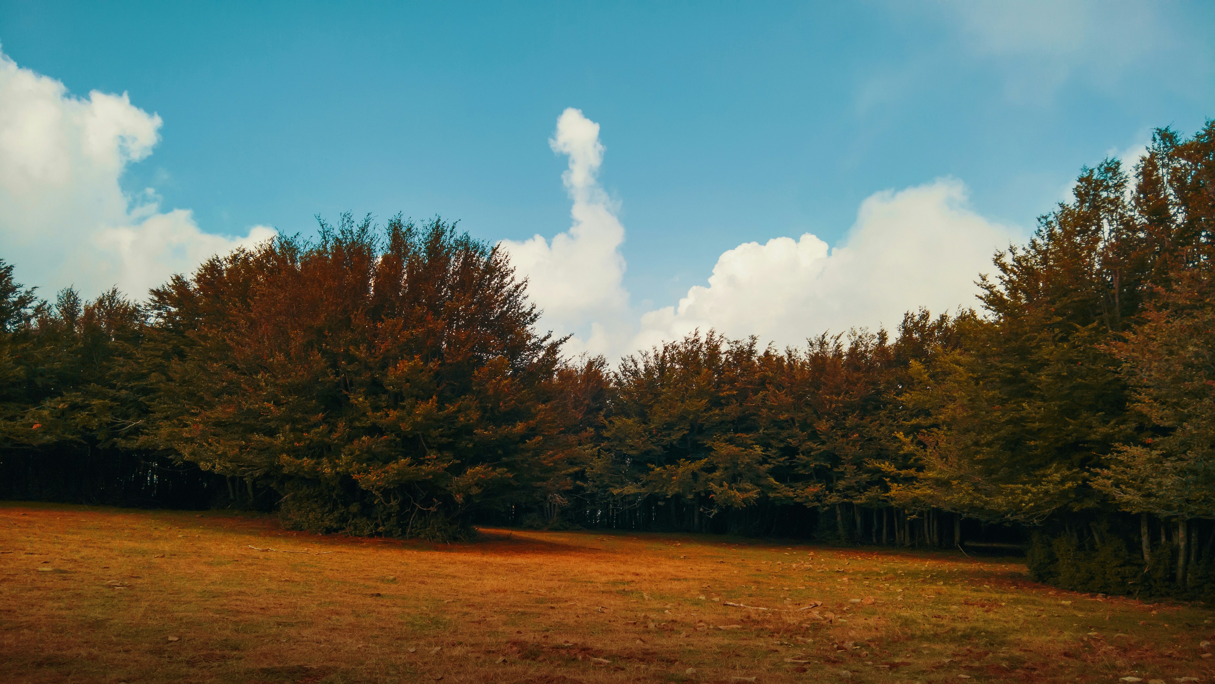 Vibrant autumn foliage frames a serene landscape under a bright blue sky with fluffy clouds. The scene captures the essence of a tranquil outdoor space.