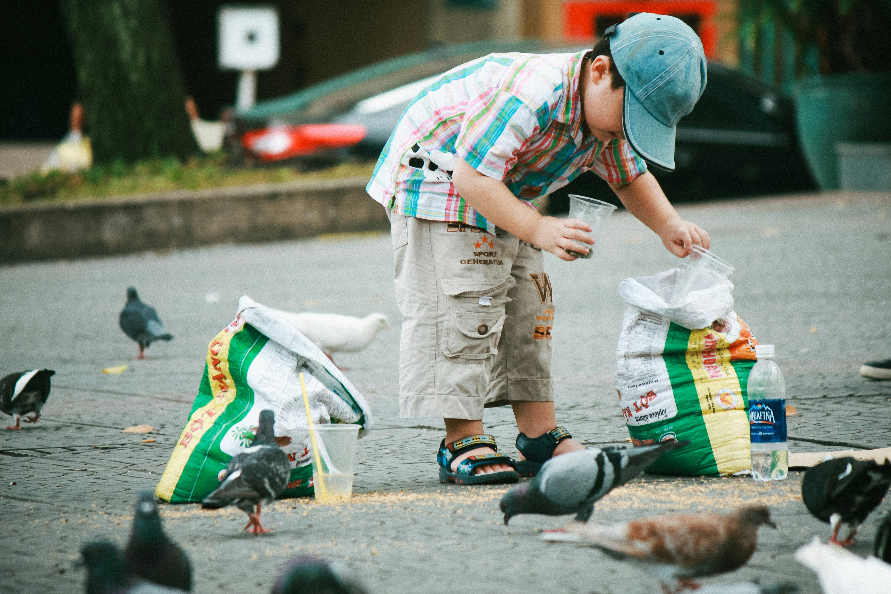 The image captures a young child in a colorful plaid shirt and shorts, engrossed in feeding pigeons from a plastic cup in a bustling public square. The vibrant hues of the child's attire contrast with the muted grays of the pigeons, creating a lively scene. The natural lighting highlights the child's curiosity and the gentle motion of the birds, evoking a sense of innocence and harmony with nature.