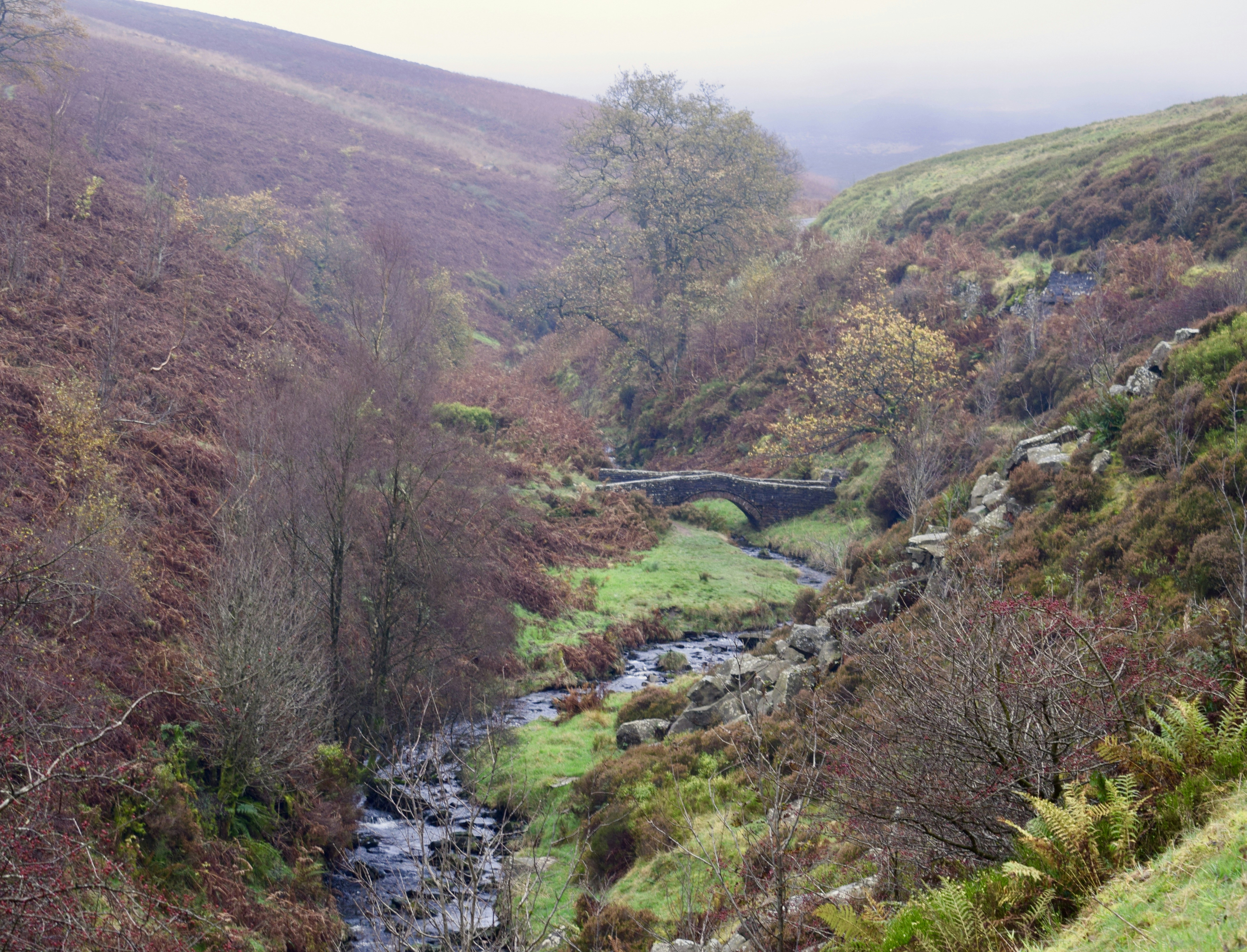 Suzanne Tucker (@suzanne_tucker) | Comunidade de fotos da Unsplash