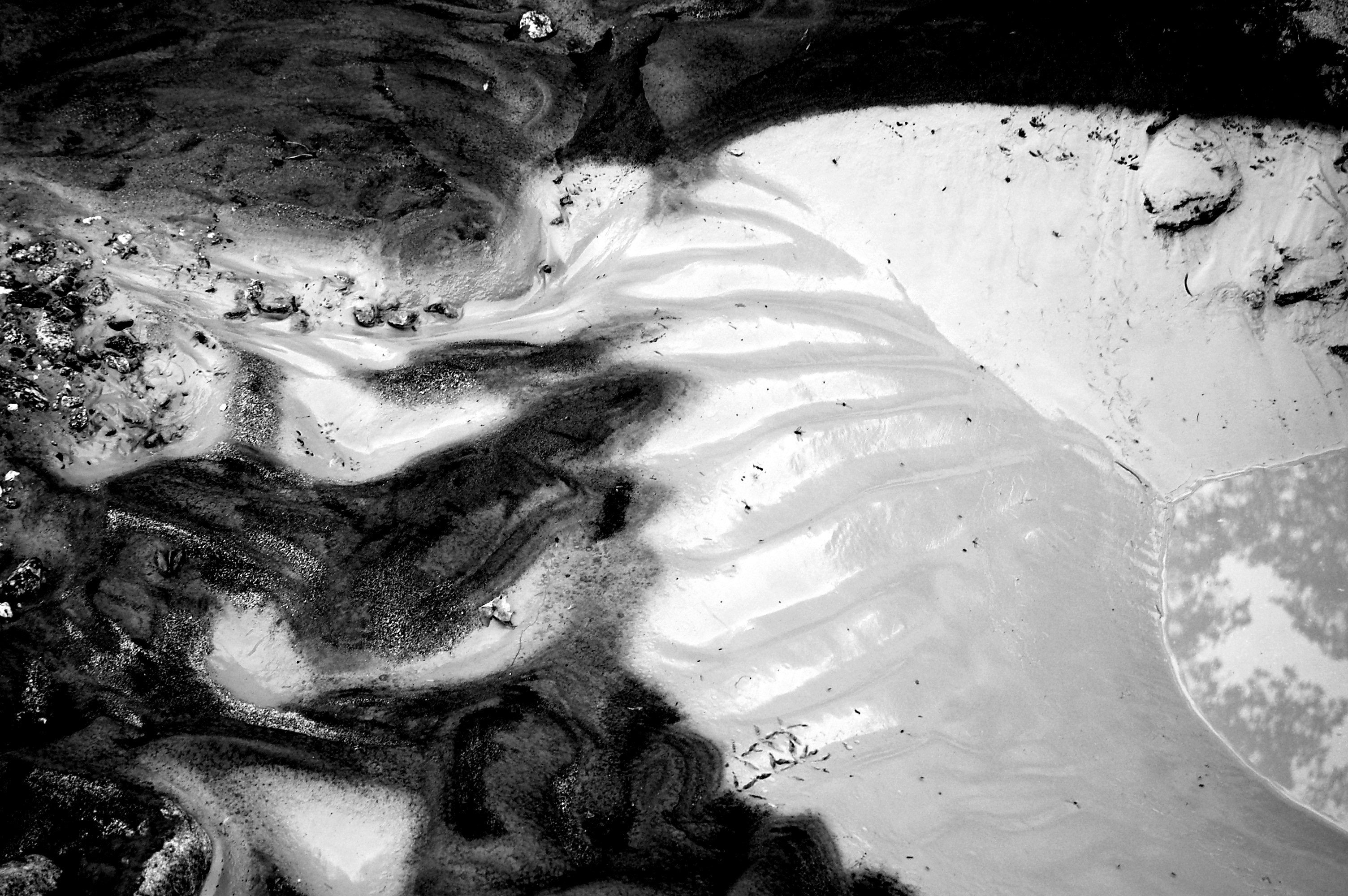 Abstract monochrome composition showcasing swirling patterns of water and sand, highlighting the interplay of textures and forms.