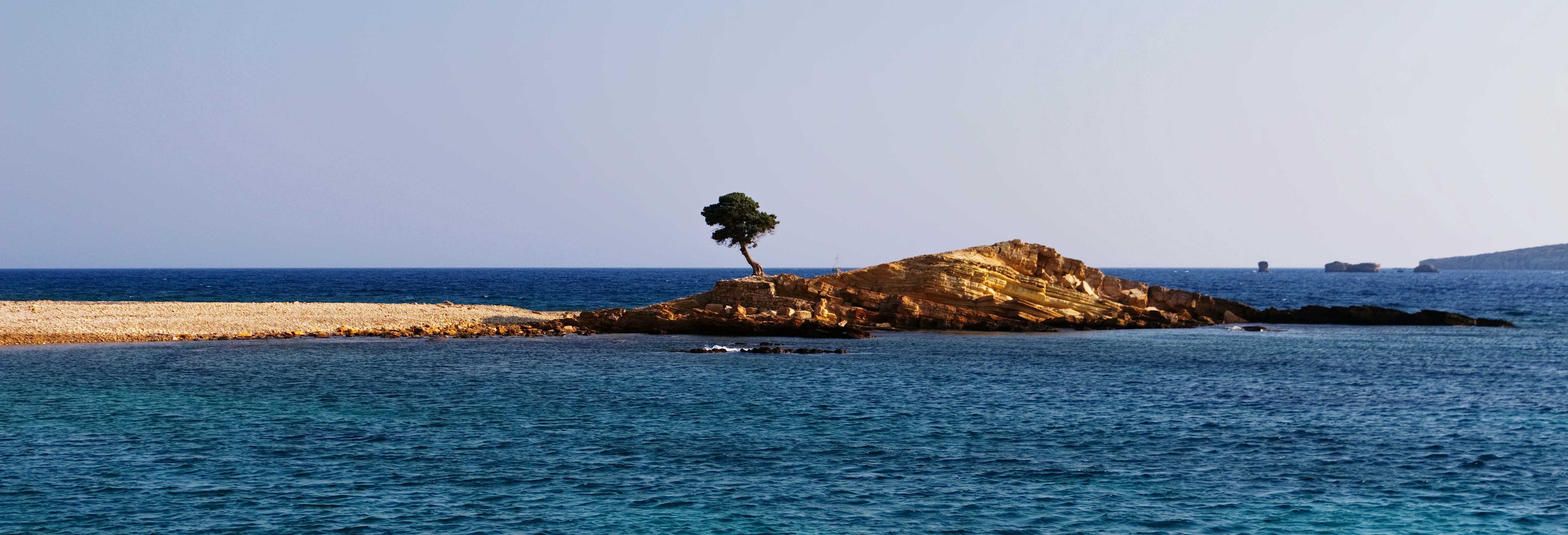Lone Tree at the Quiet Edge: A Seascape of Rock and Water