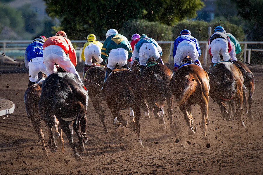 Dust-laden horses sprinting away from the camera in a crowded race, colorful jockey silks. A dynamic rear‑view shows power and motion on a dirt track.