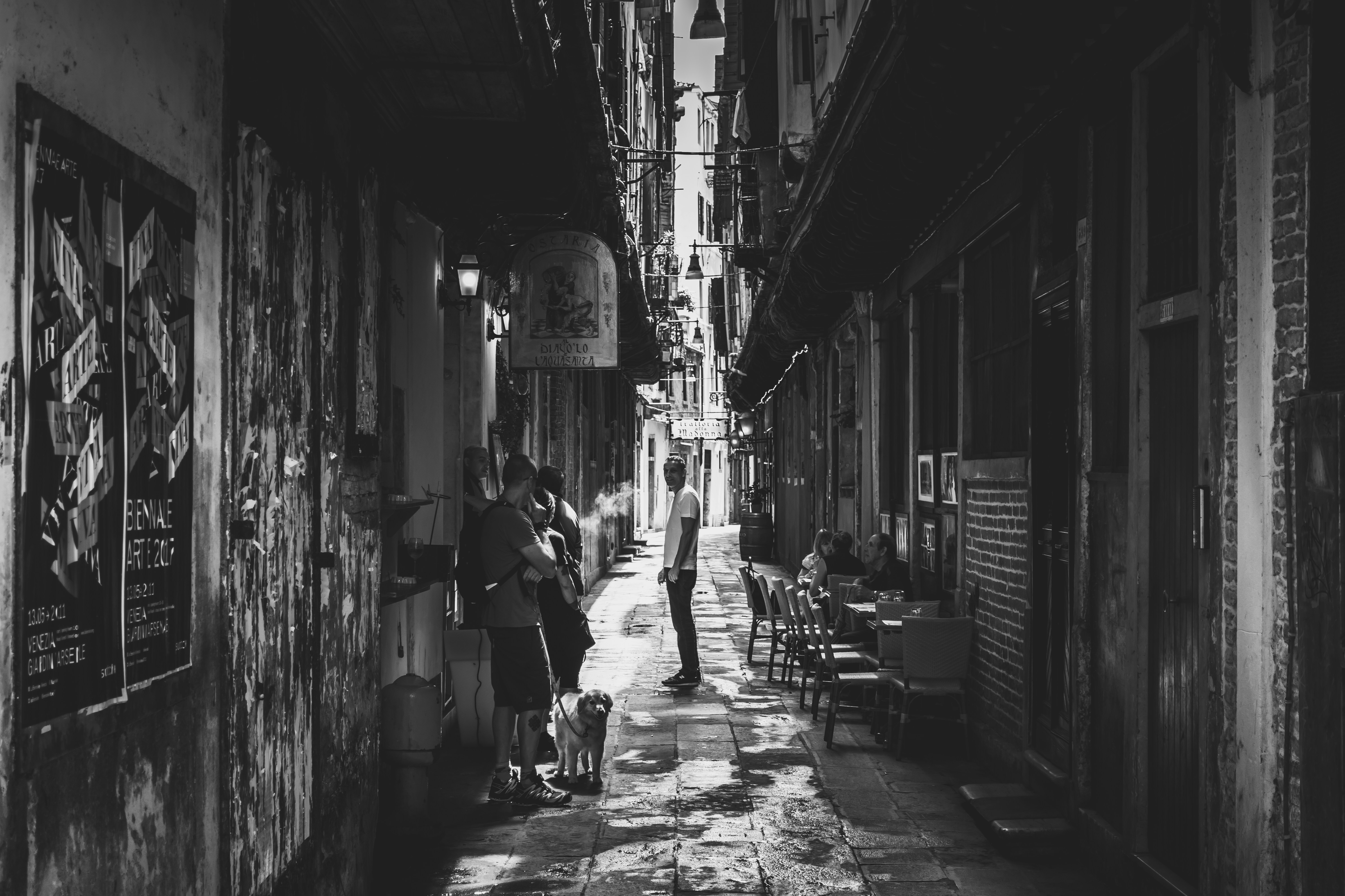 People and a dog in a shadowed alleyway with sunlight filtering through, creating a contrast of light and dark.