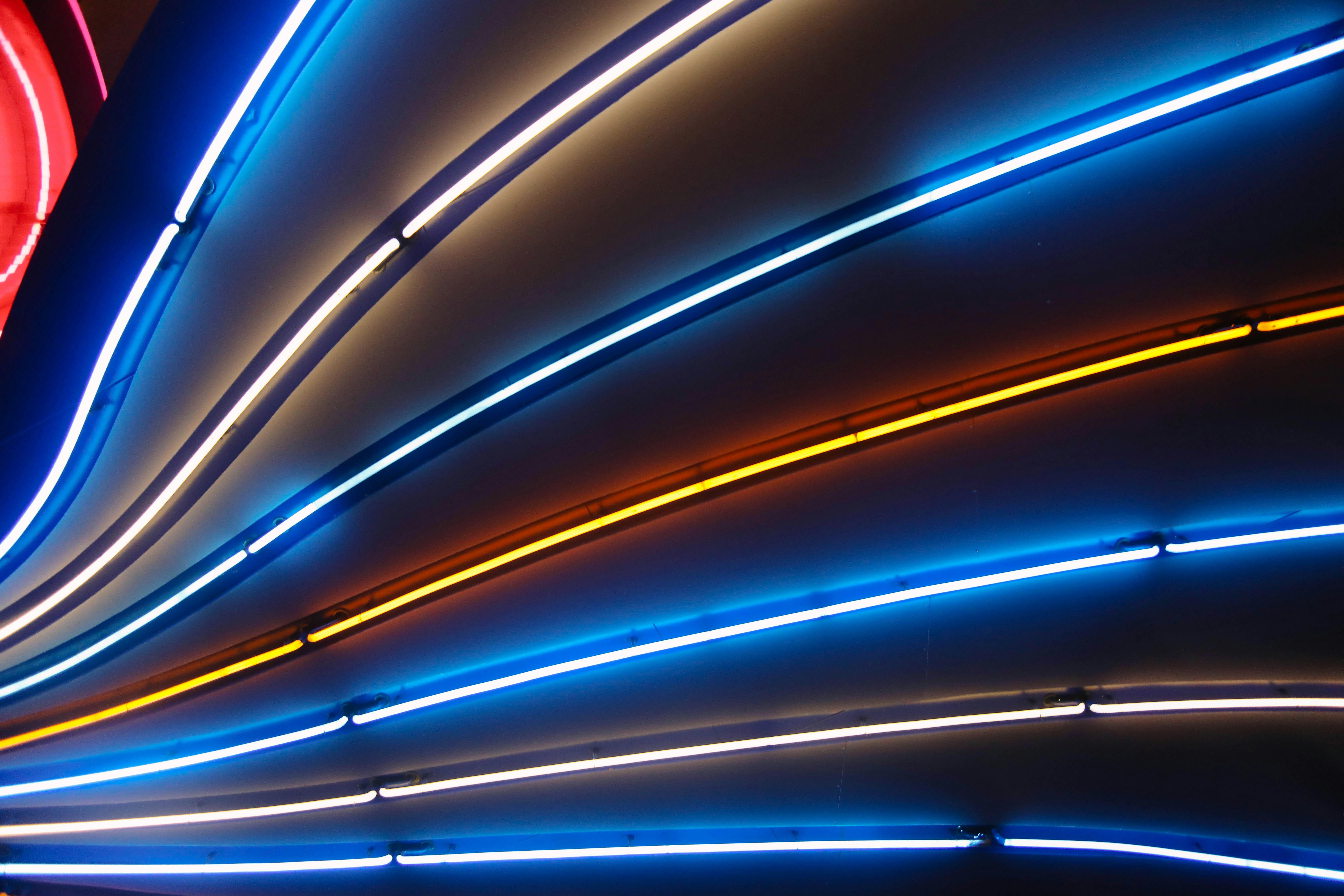 Blue and yellow neon light signage photo – Free Lake buena vista Image ...