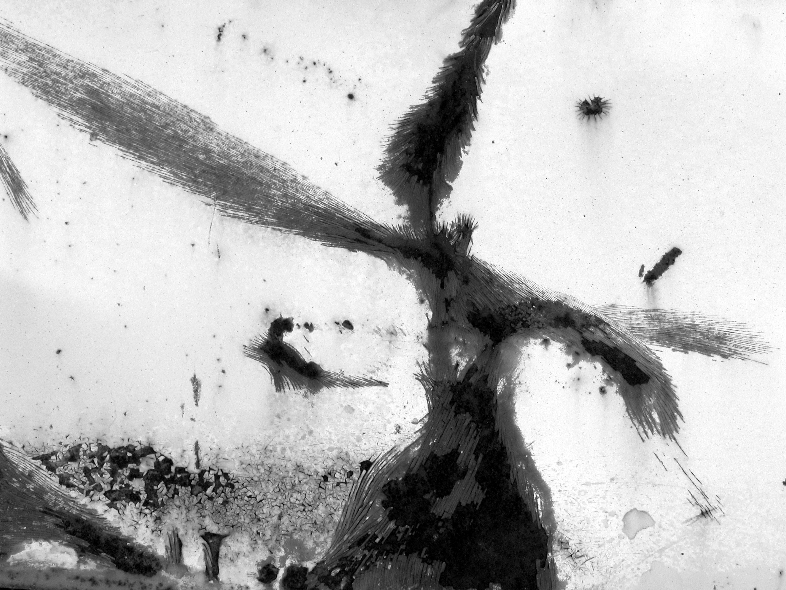 Dynamic black and white abstract composition featuring sweeping brush strokes and textures that evoke movement and depth.