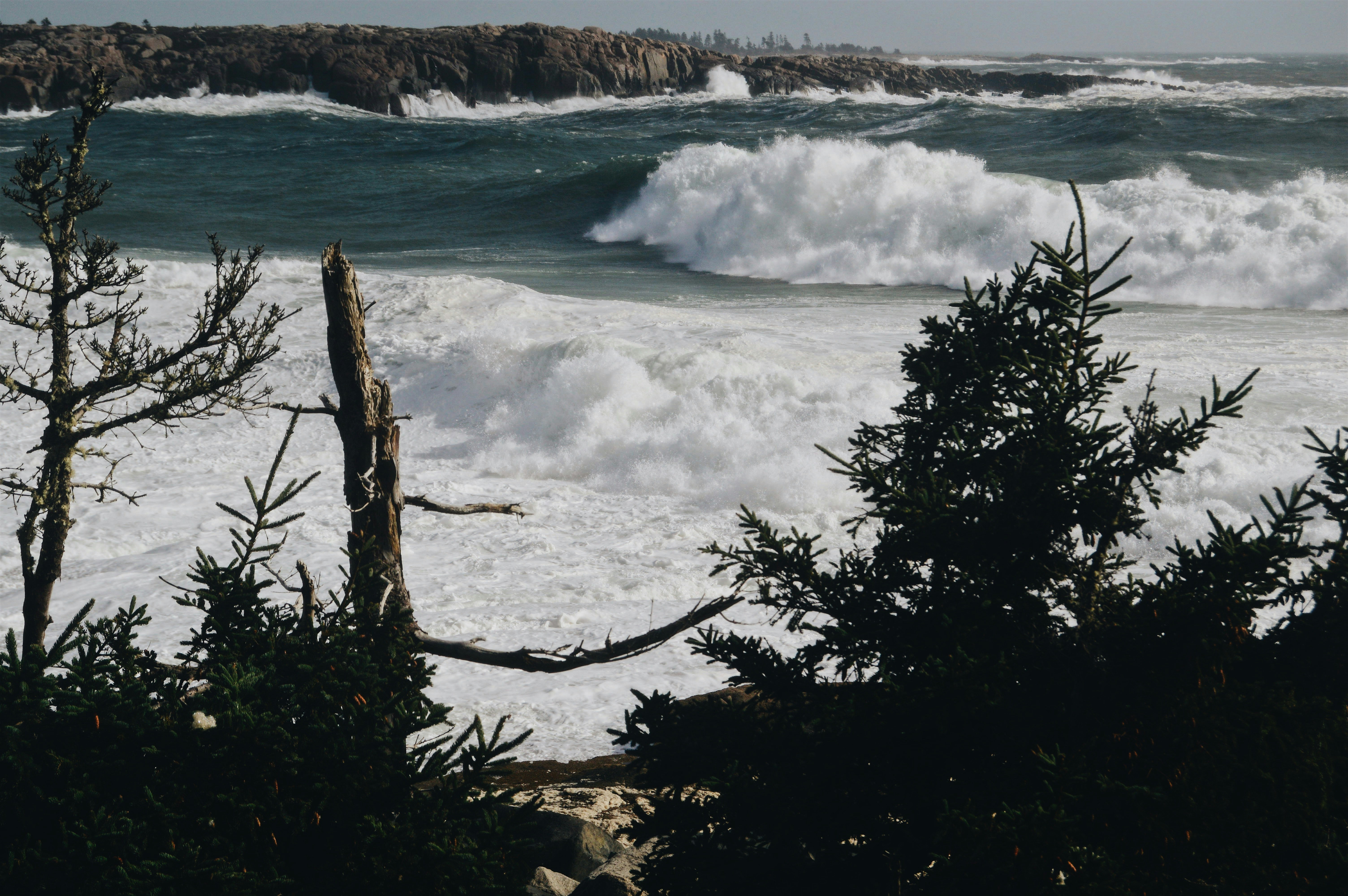 High ocean waves in beach photo – Free Sea Image on Unsplash