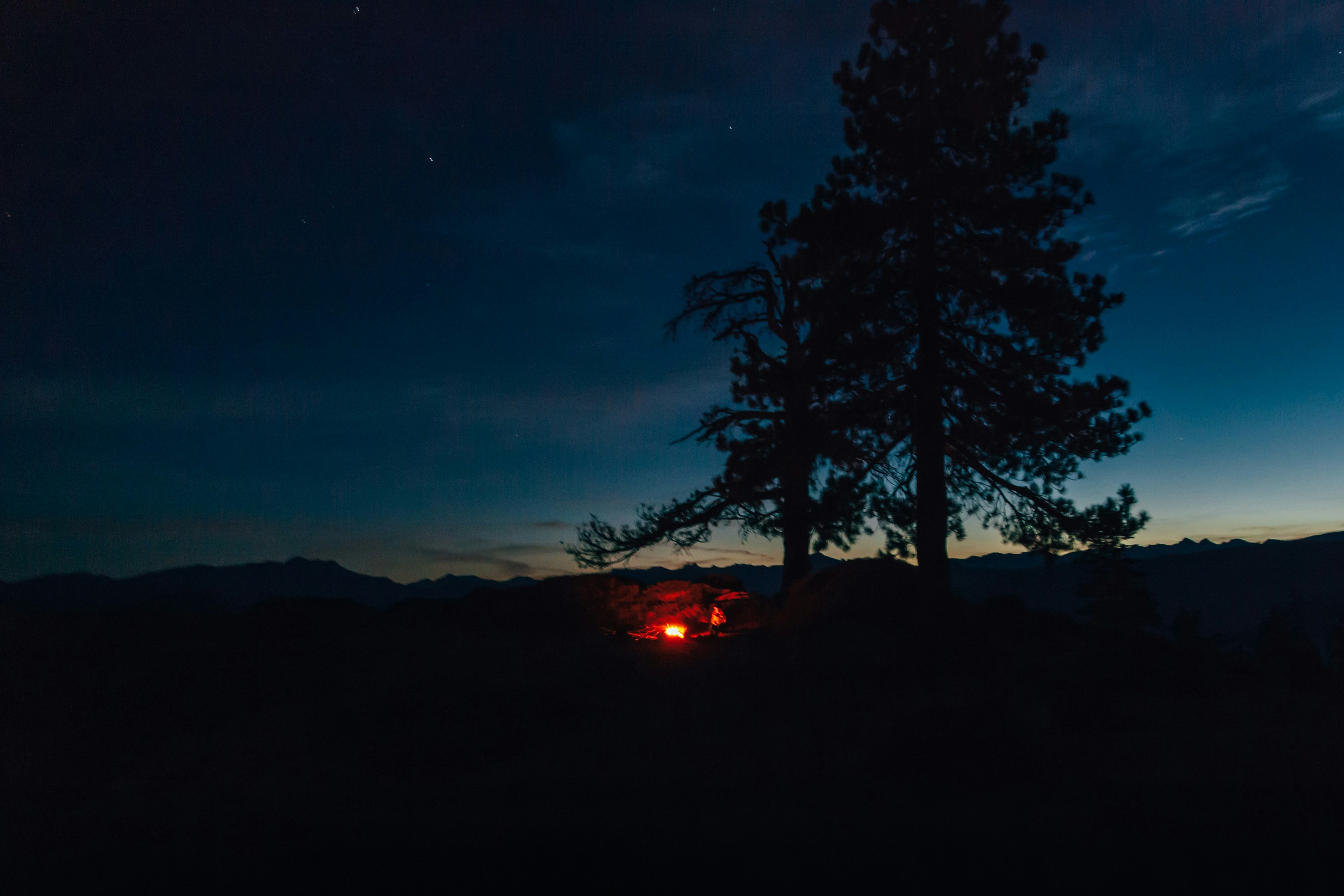 Silhouetted trees against a twilight sky, with glowing embers from a distant campfire illuminating the scene.