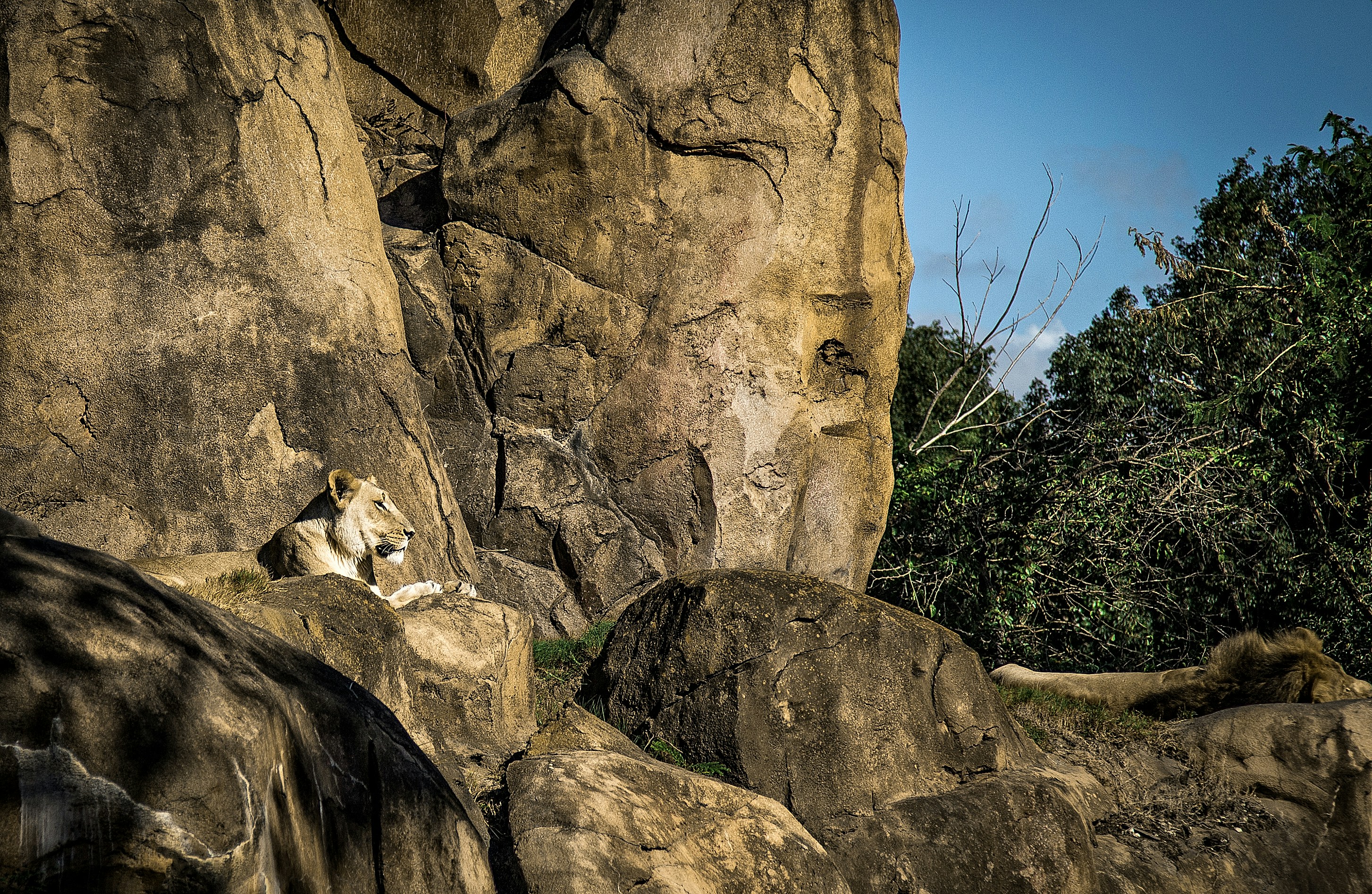 Mike Arney (@mikearney) | Unsplash Photo Community