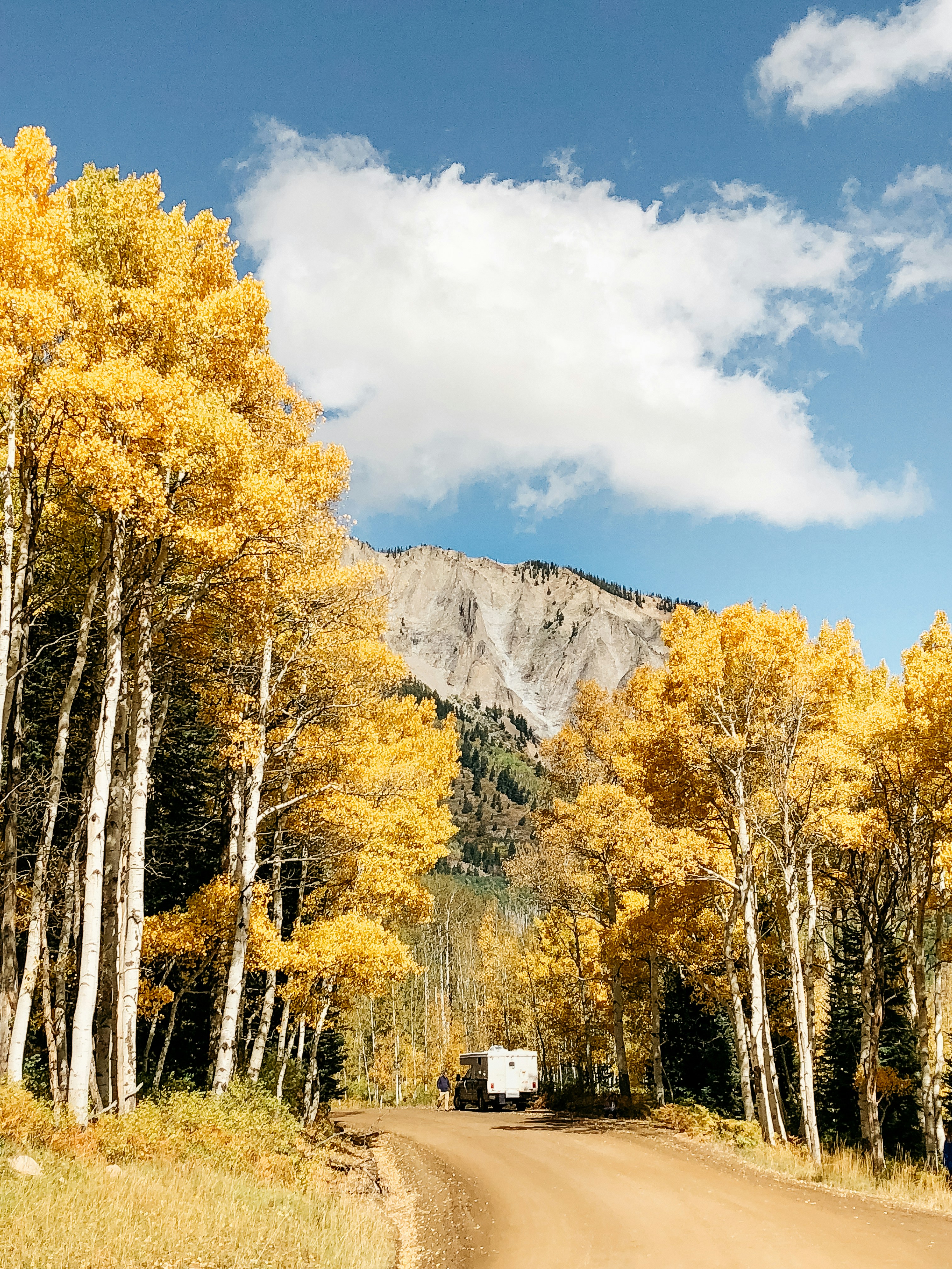 Golden Ascent: A Tree-Lined Canyon Road Toward the Mountain