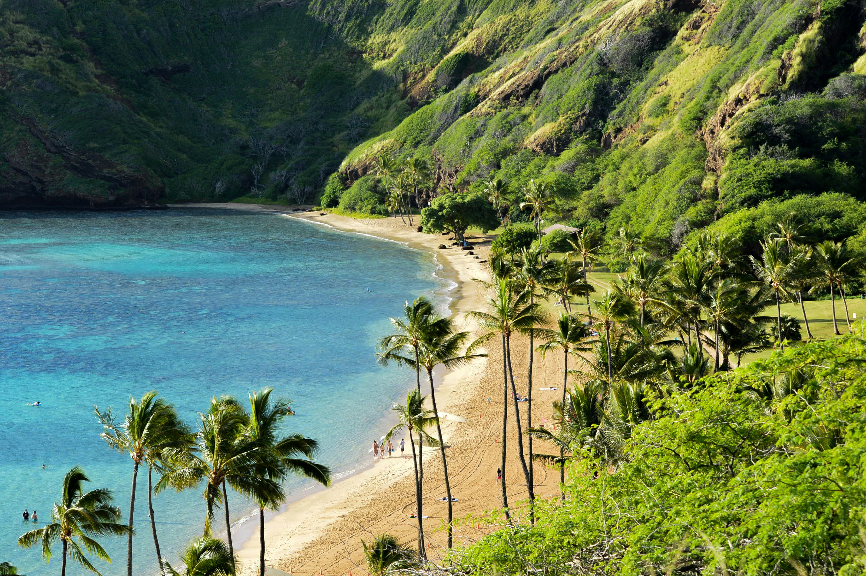 Lush green cliffs and palm trees line a tranquil beach with azure waters.