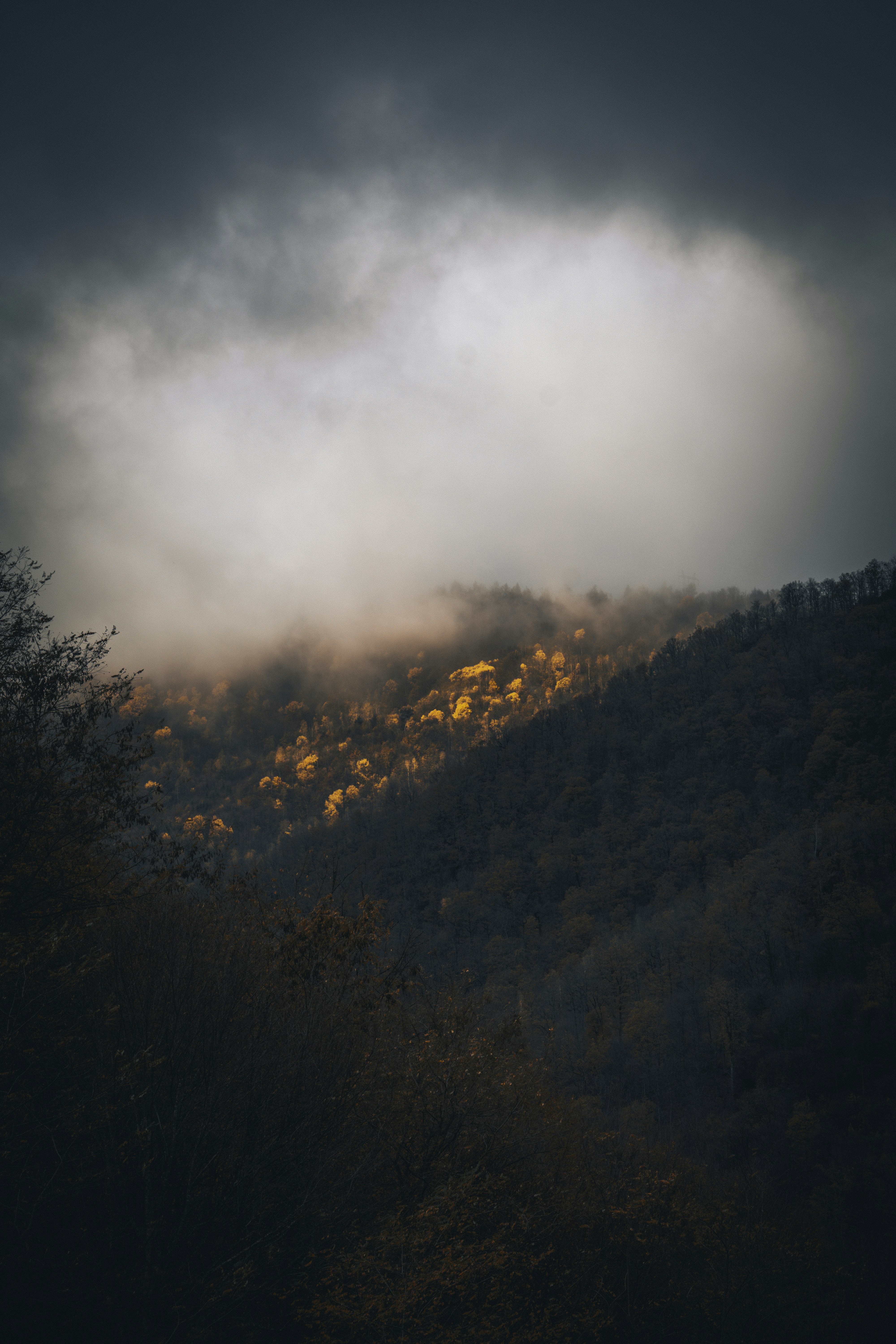 Sunlight filtering through clouds illuminates a forested mountain, highlighting vibrant autumn foliage against a dark sky.