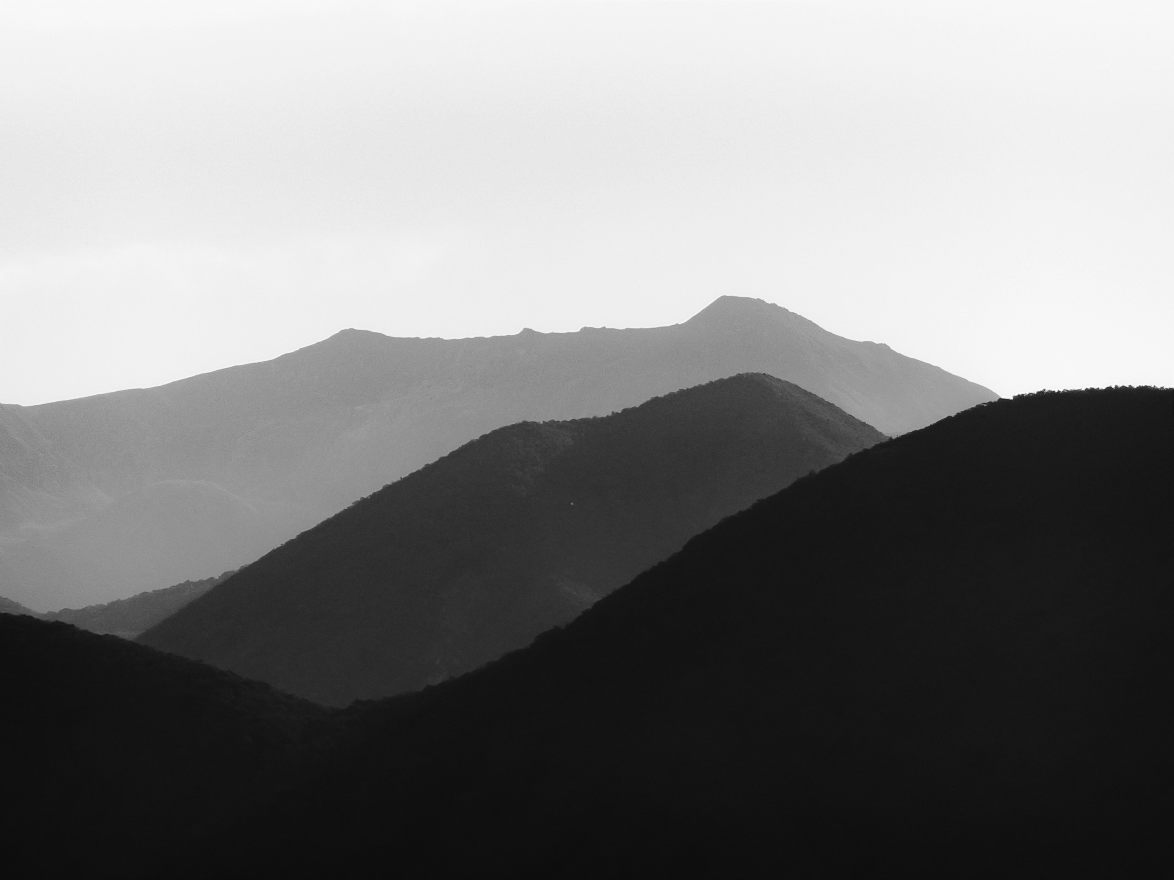 Grey Nature Pictures | Download Free Images on Unsplash