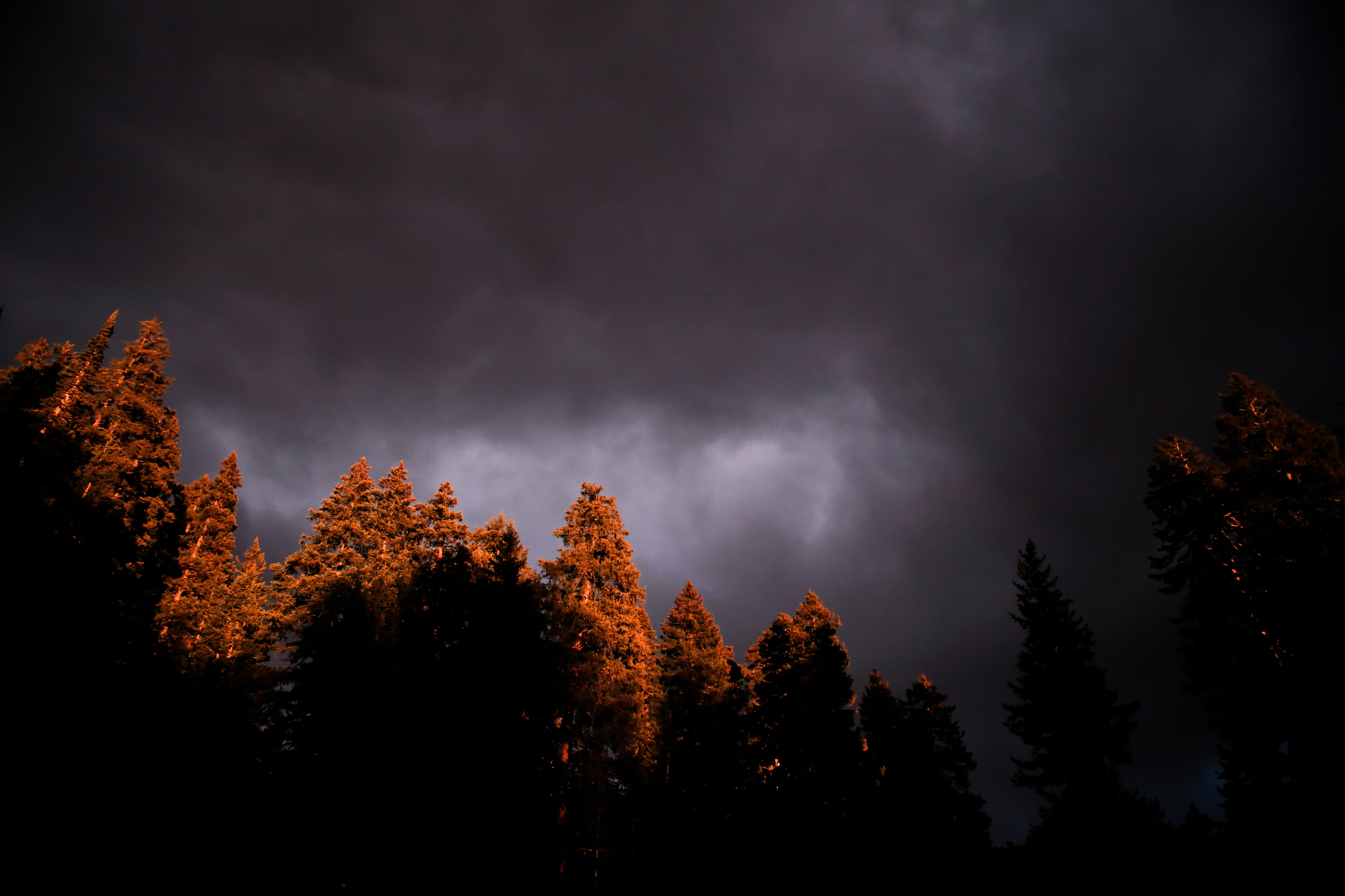 Trees under black clouds photo – Free Tushar mountains Image on Unsplash