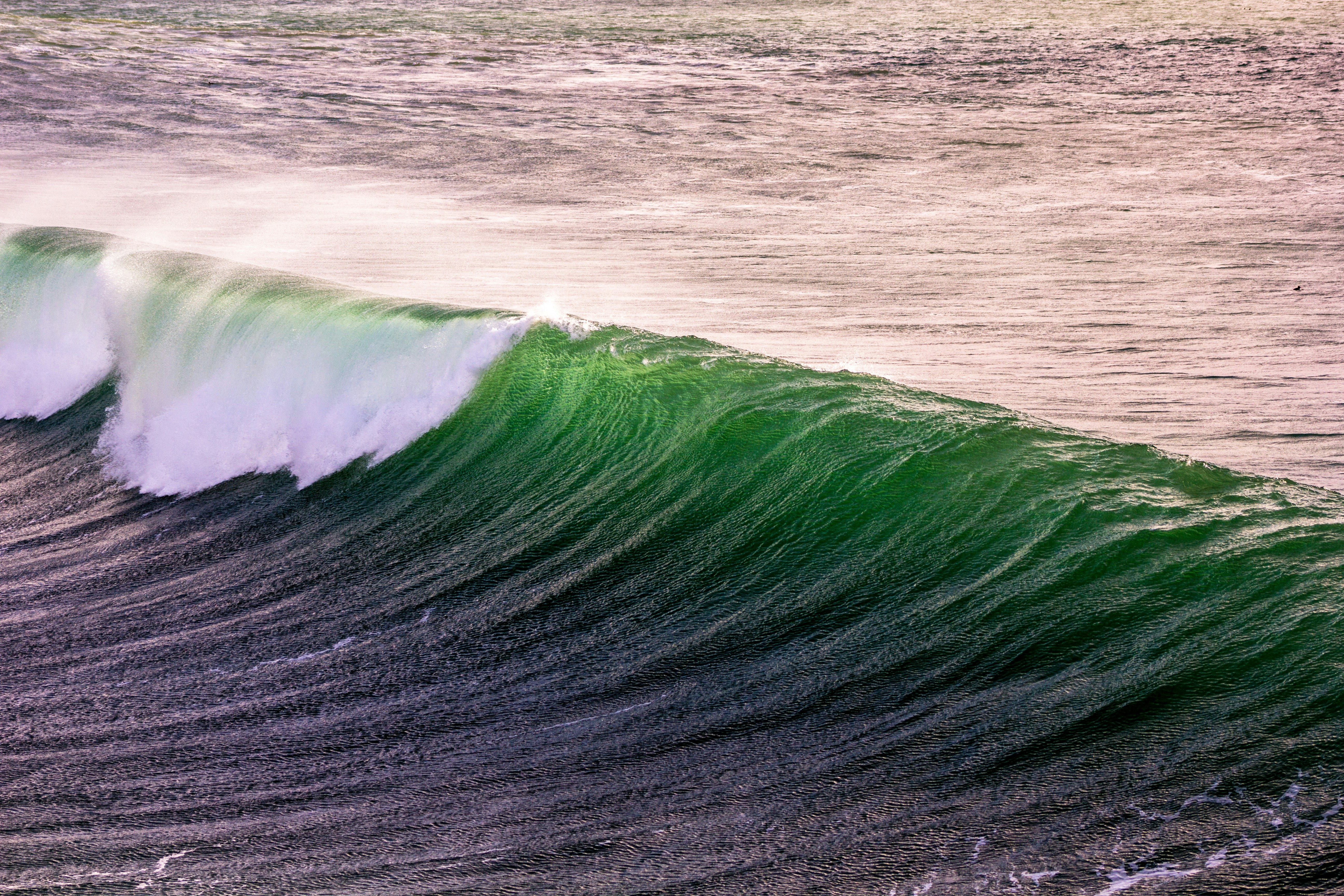 Photo of barrel waves photo – Free Wave Image on Unsplash