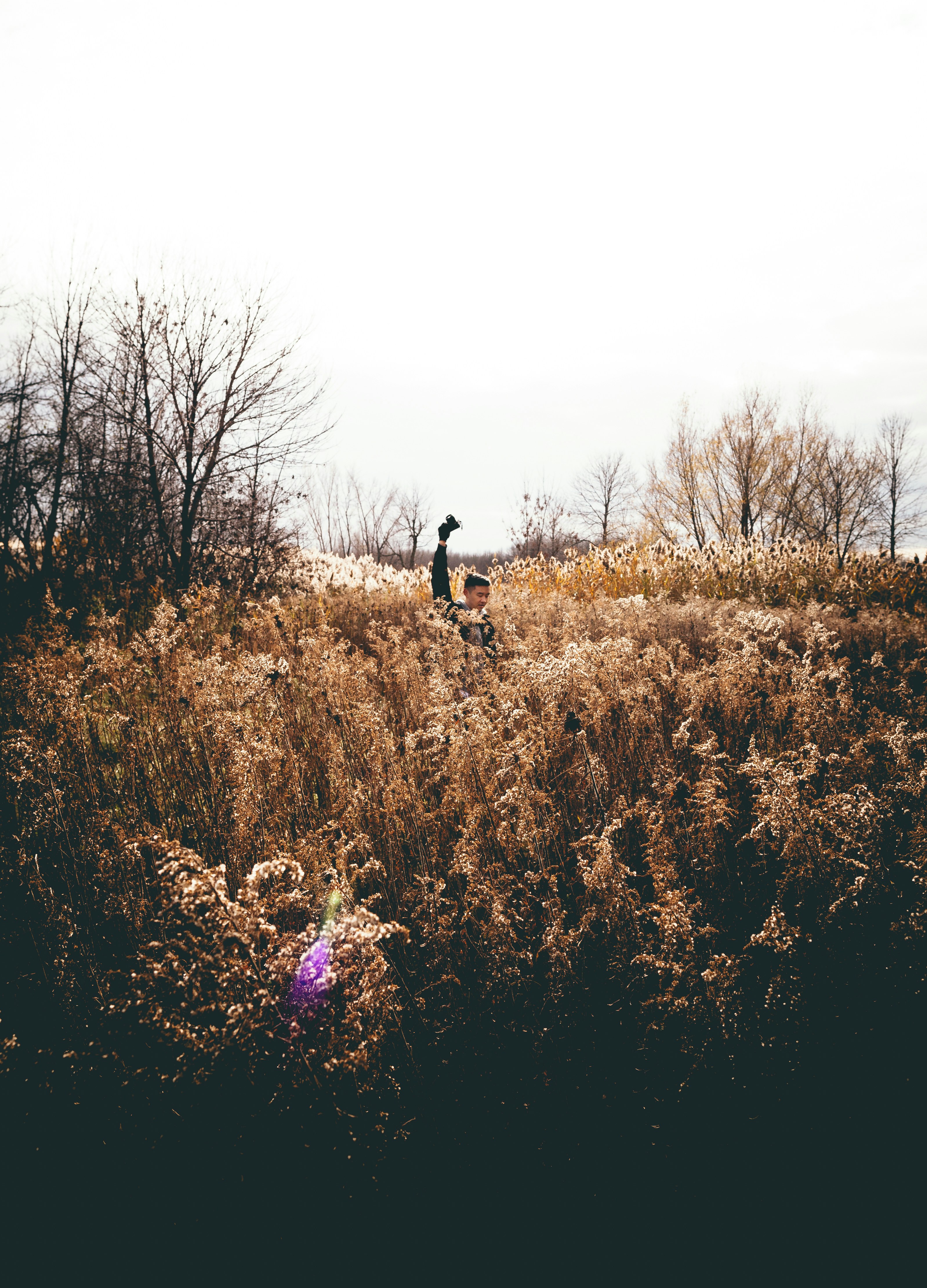 William Topa (@williamtopa) | Communauté photos Unsplash