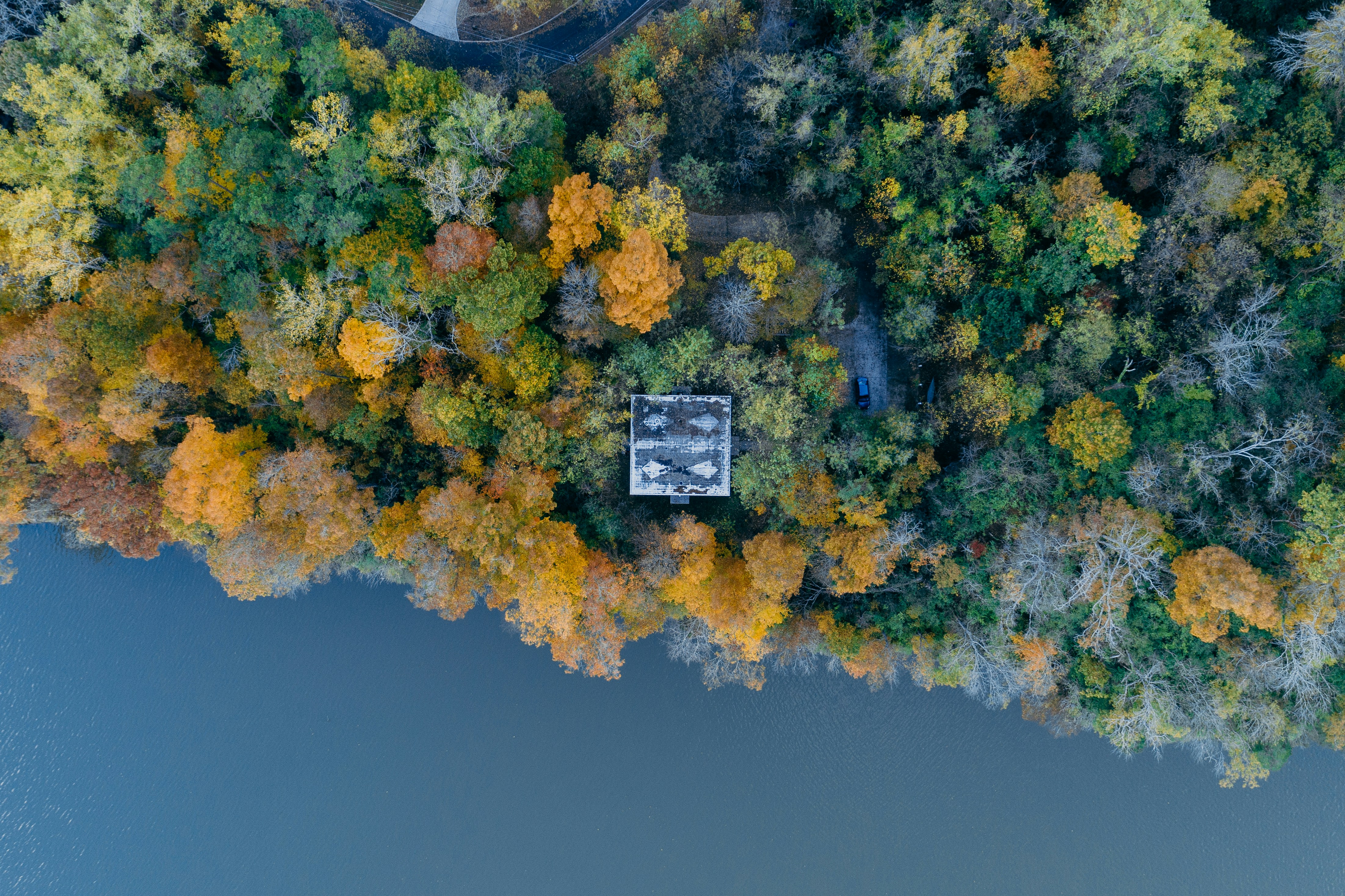 Autumn Canopy over a Quiet River: A Solitary Pavilion Revealed from Above