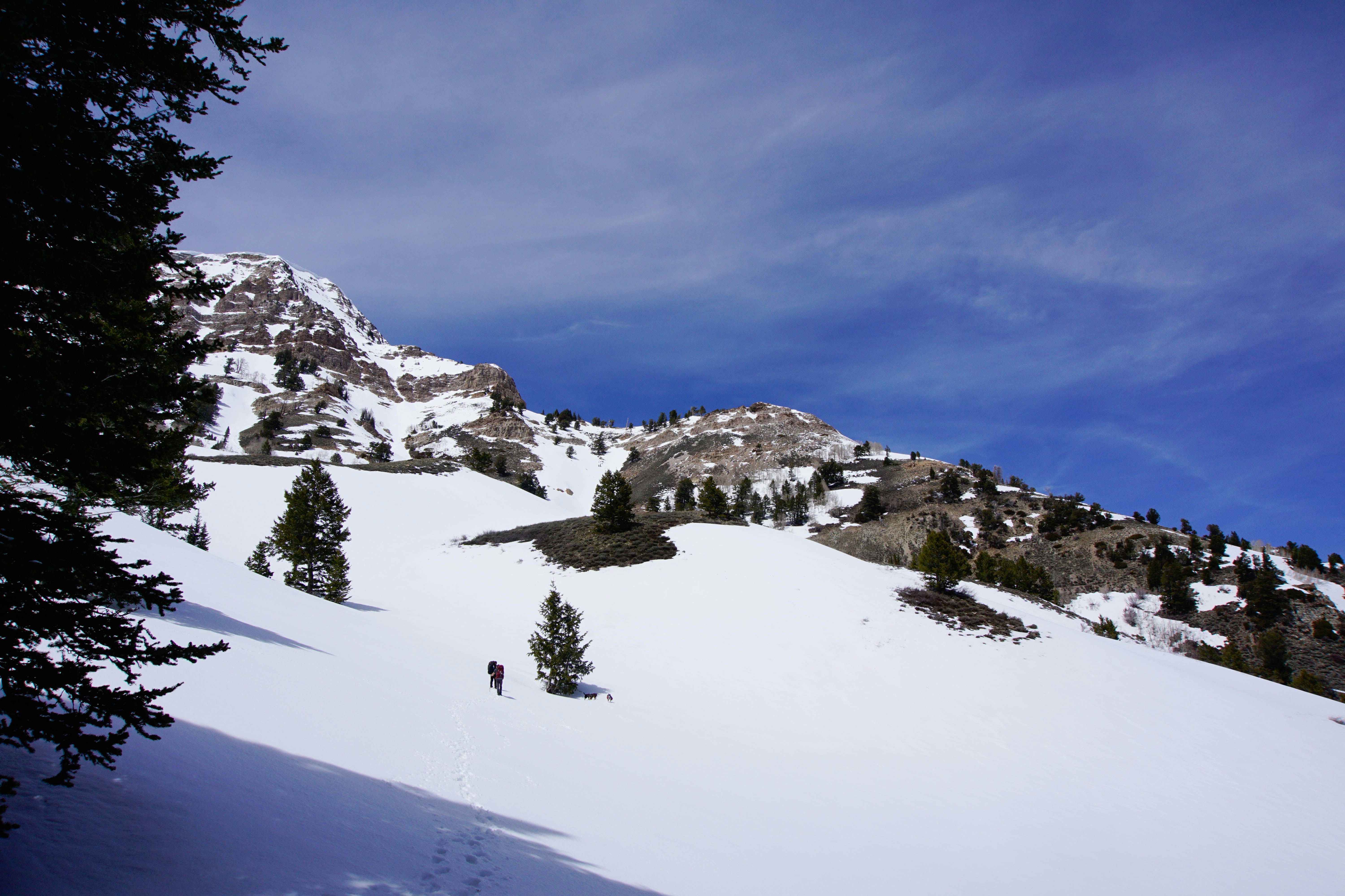 Utah | 10 best free utah, grey, plant and rock photos on Unsplash