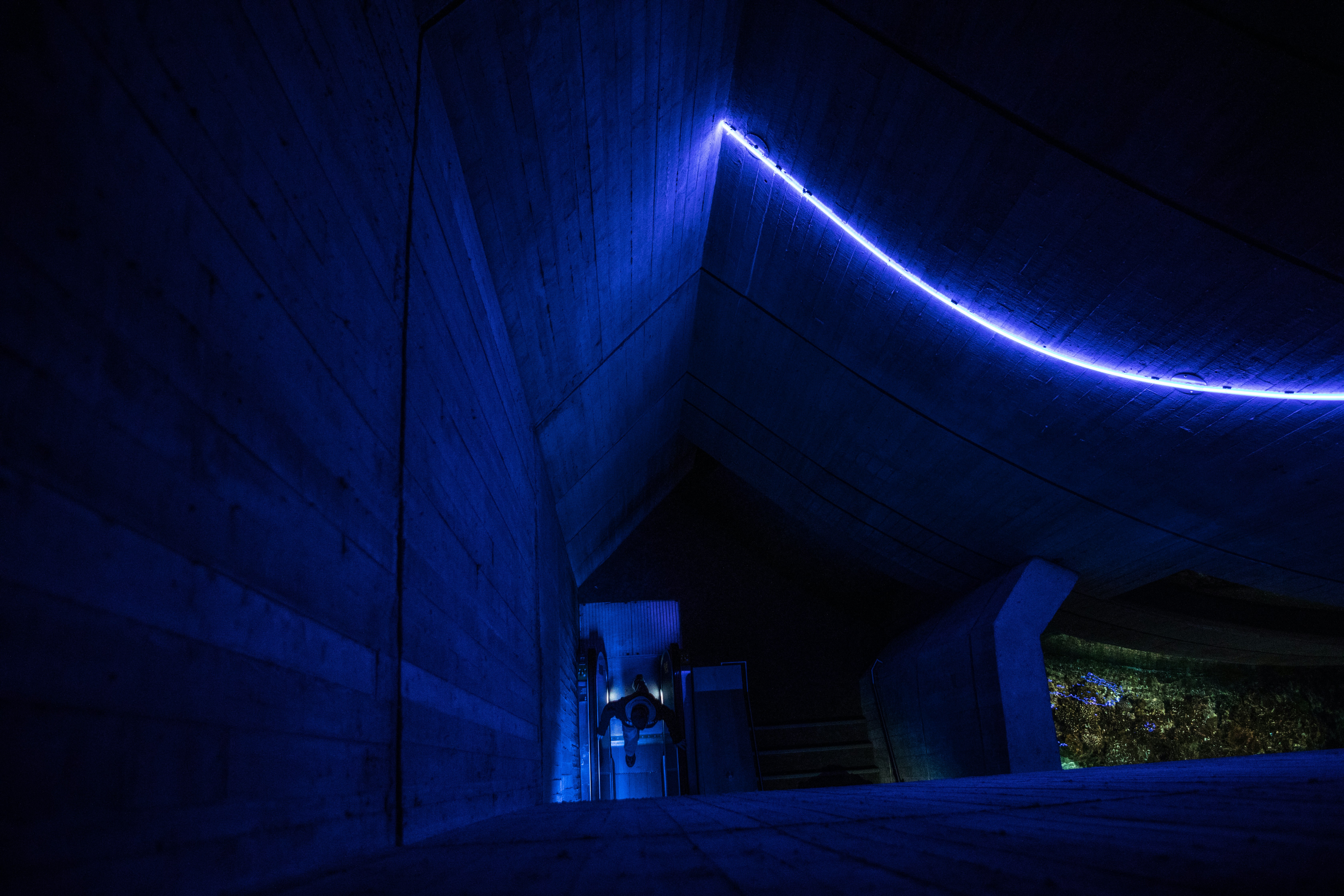 Lighted concrete ceiling photo – Free Blue Image on Unsplash