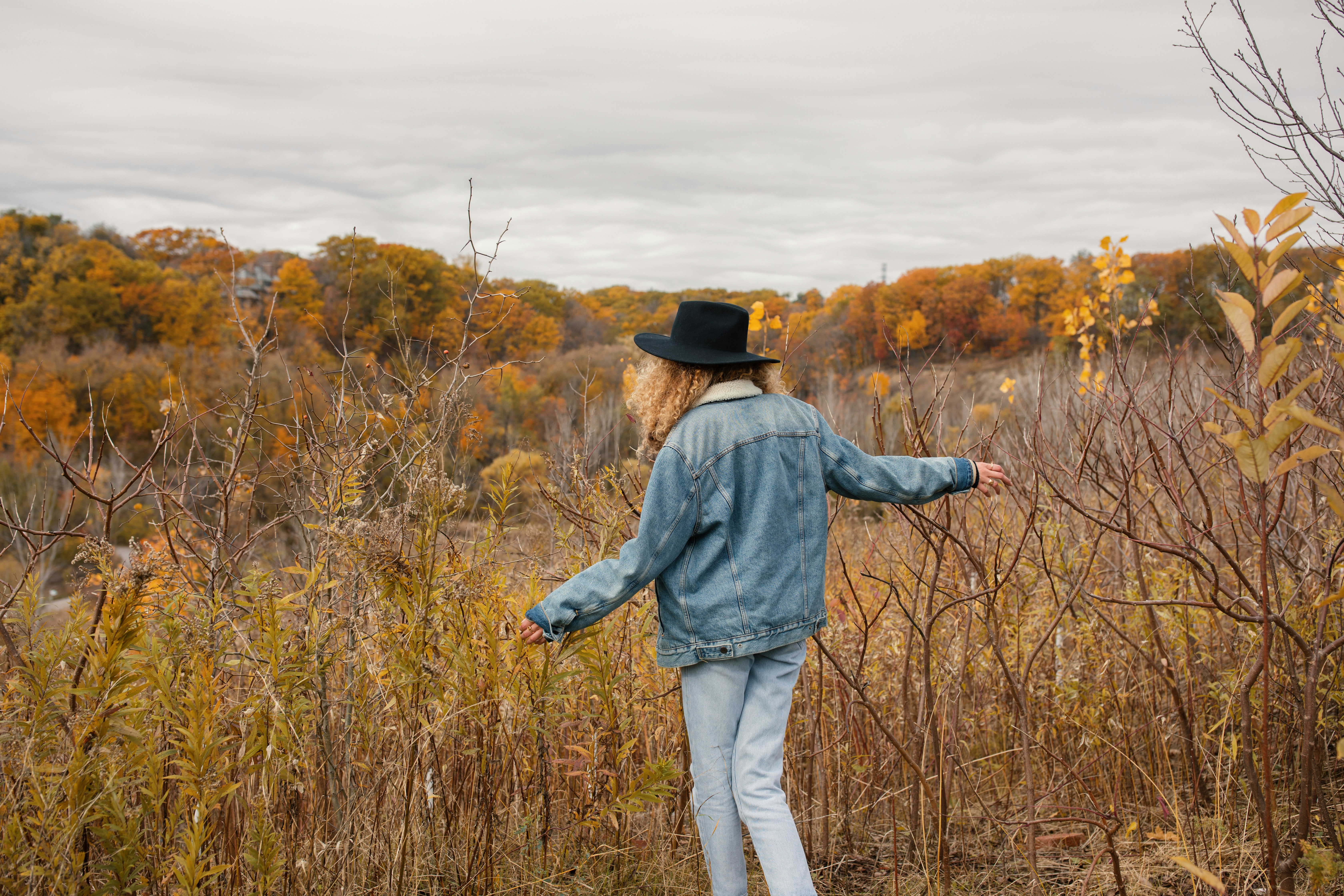 Person in autumn field turning toward the distant treeline