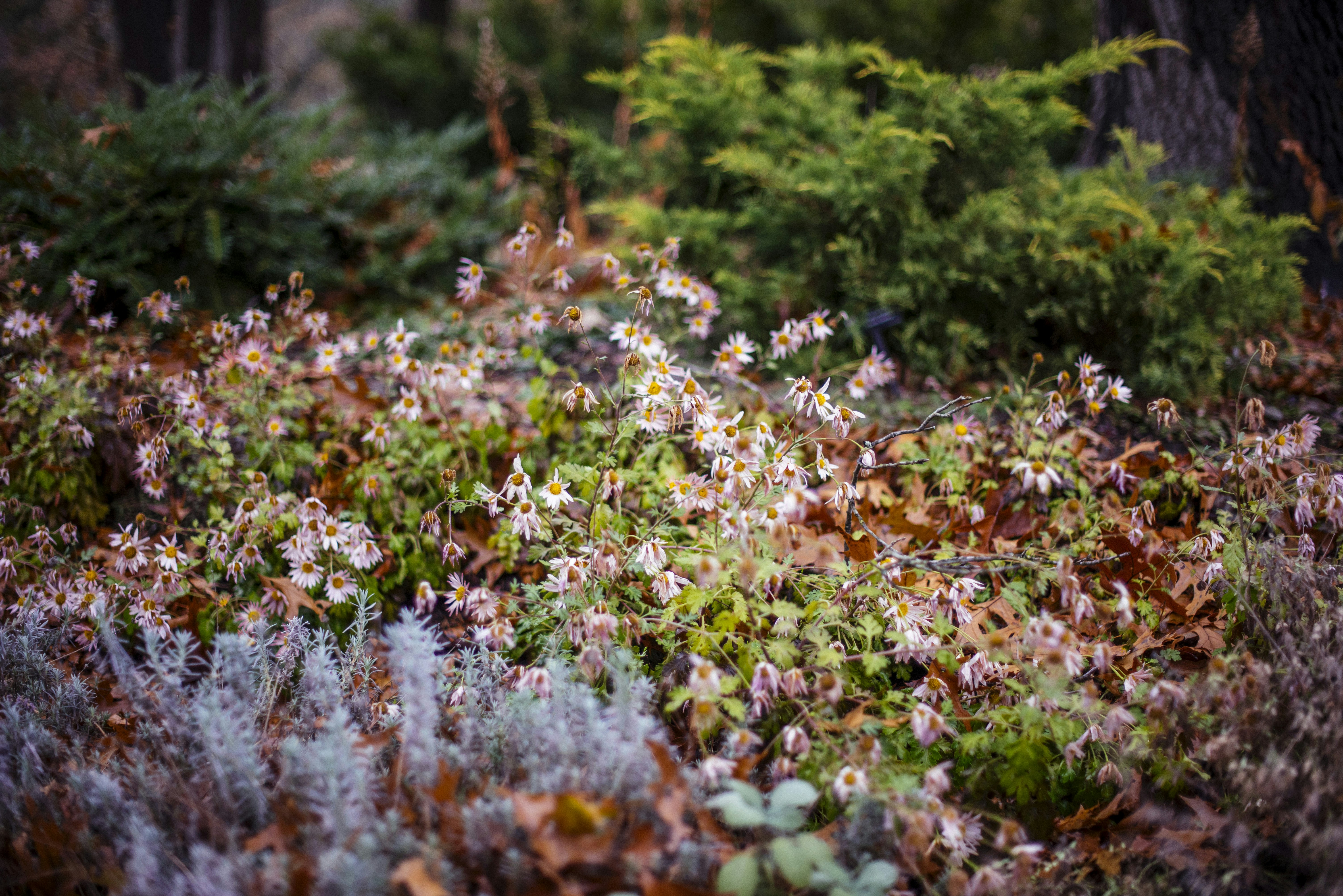 Stephanie Krist (@srpphoto) | Unsplash Photo Community