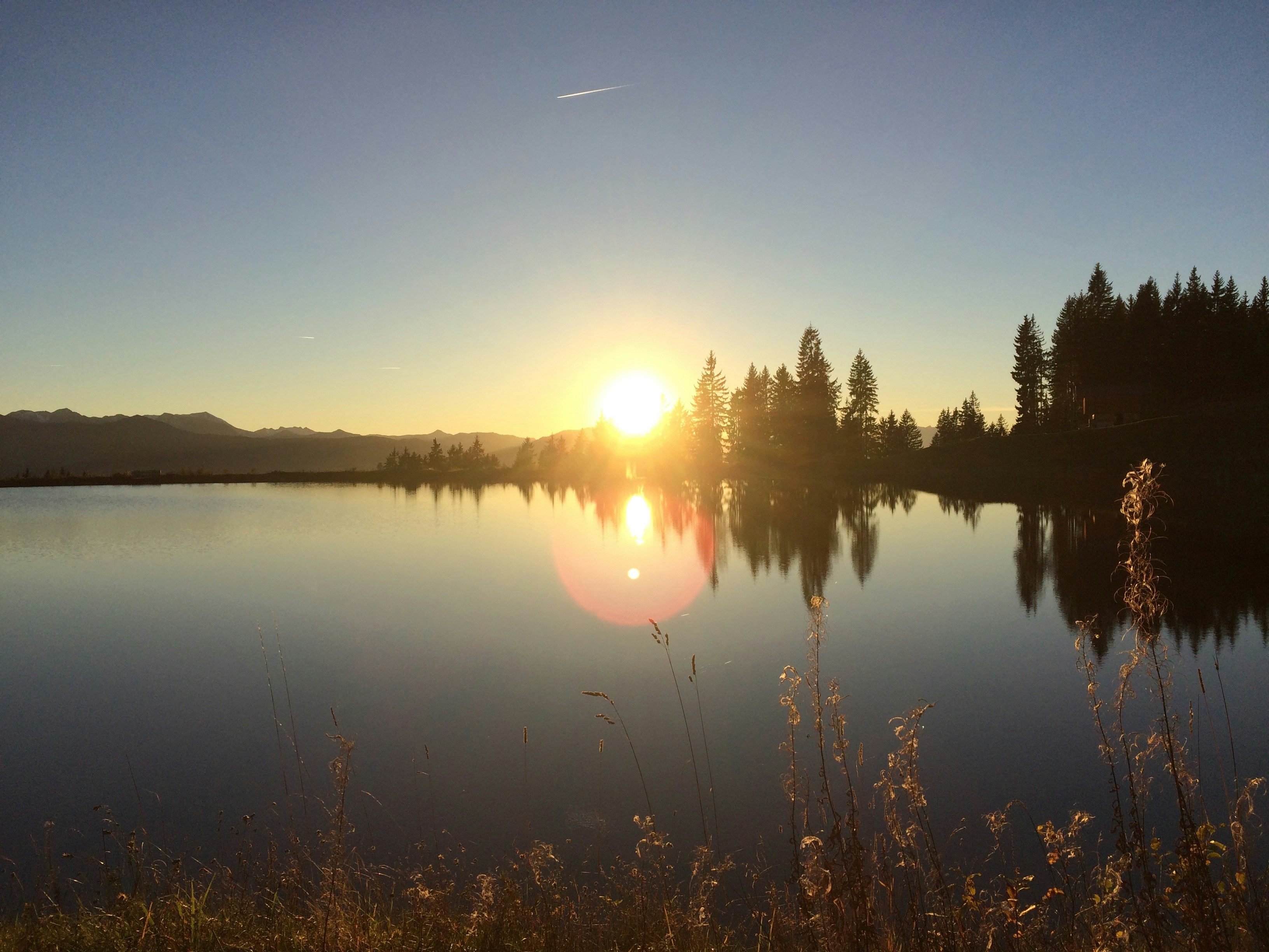 Andy Schuler (@ason_at) | Unsplash Photo Community
