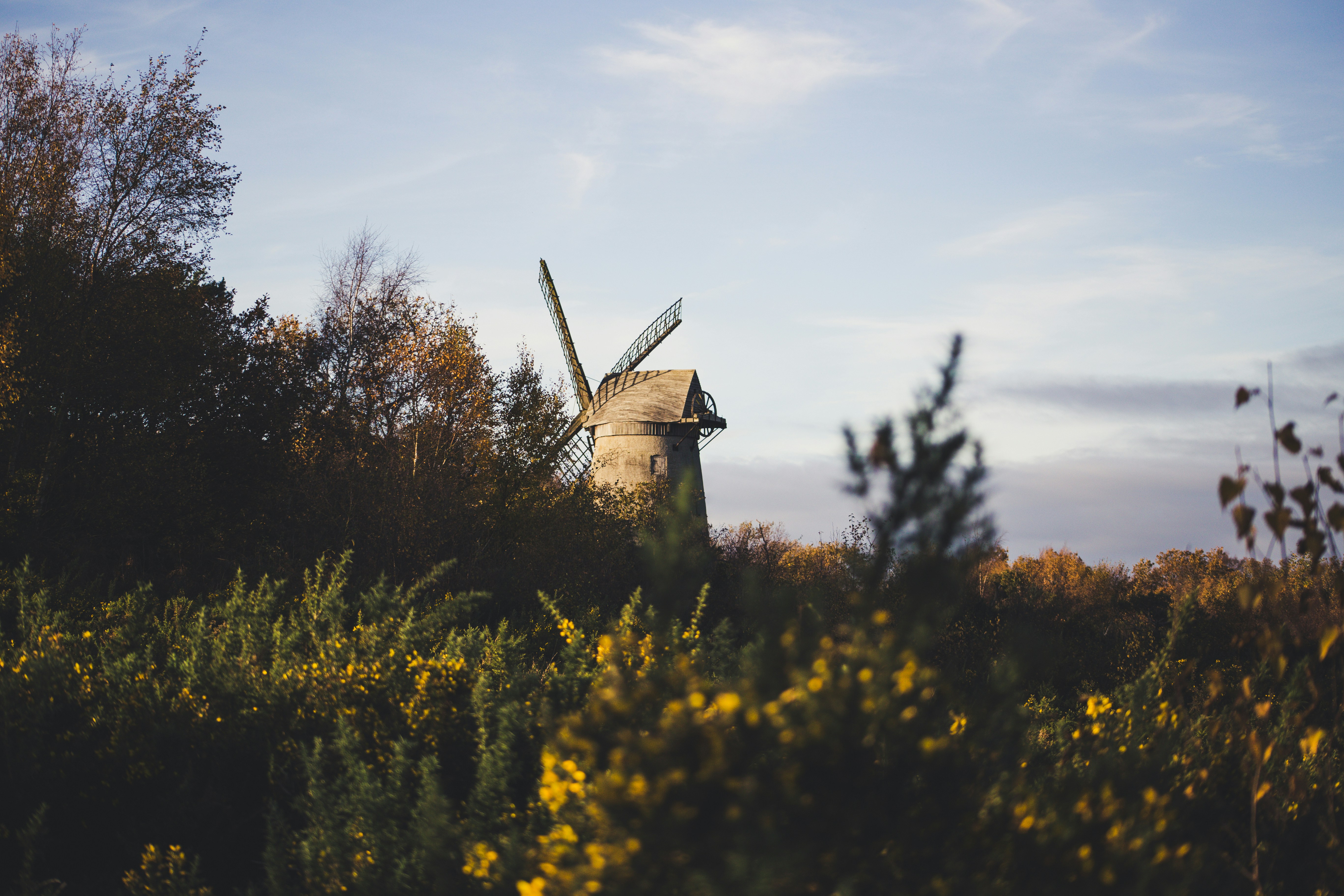 Brown windmill on grass field photo – Free United kingdom Image on Unsplash