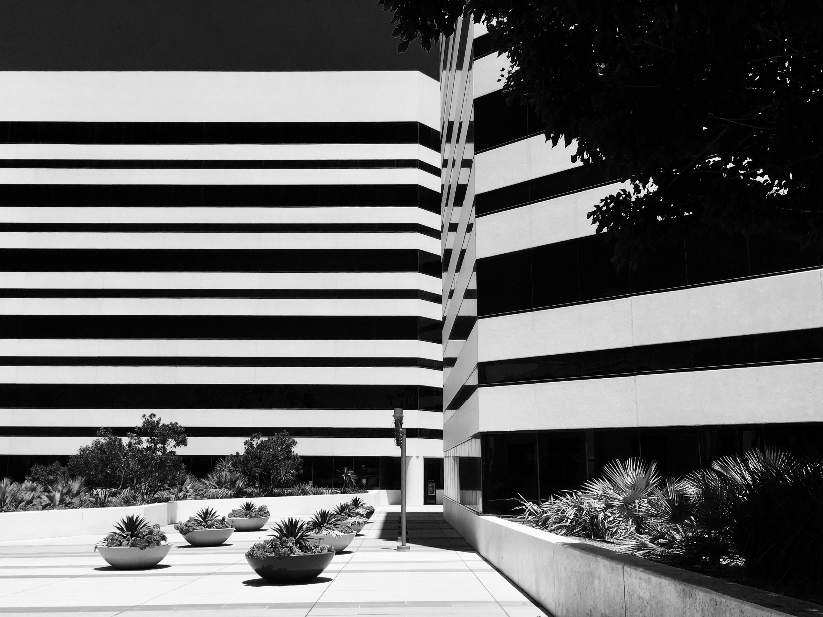 gray scale photography of building photo – Free El segundo Image on ...