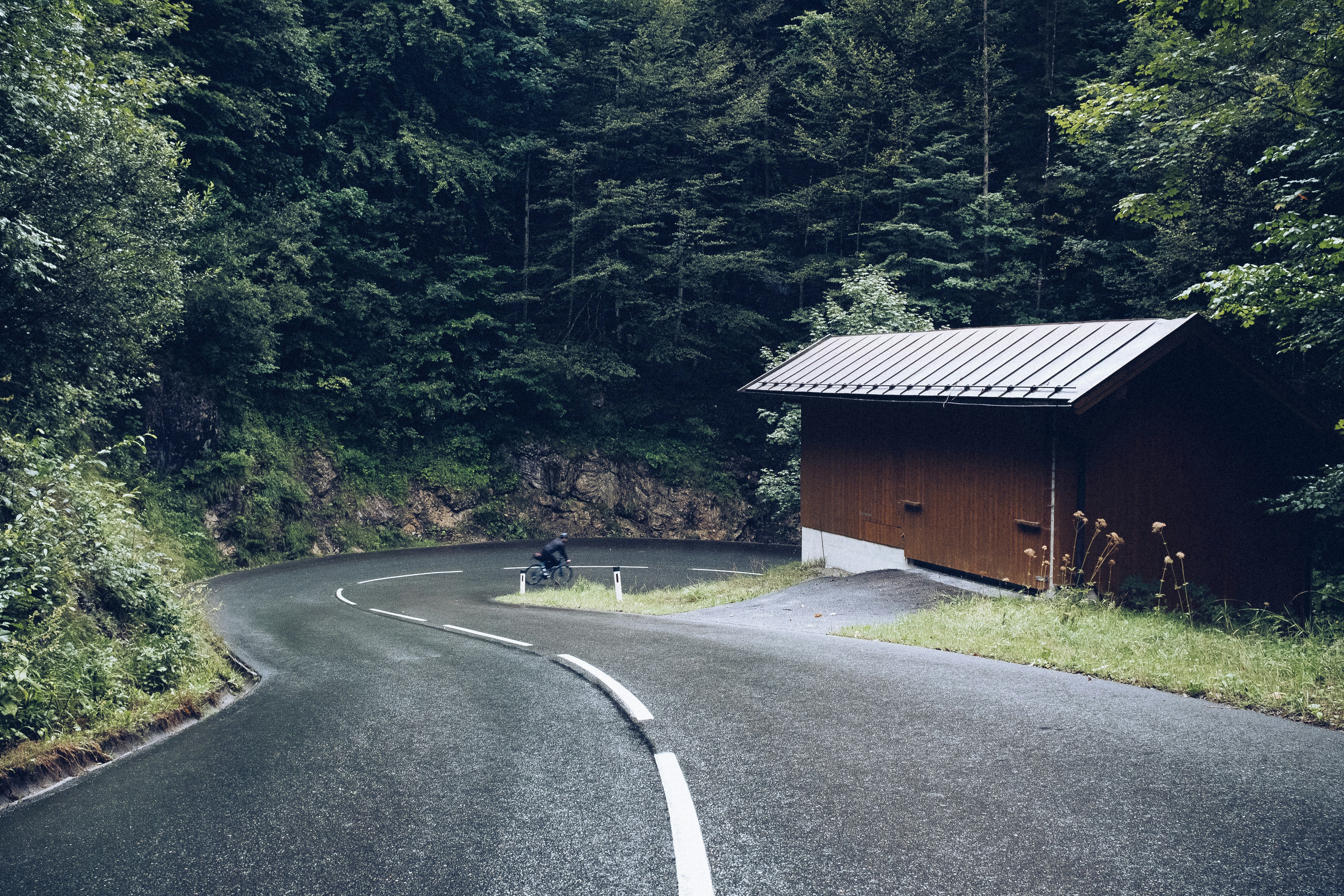 Curve of Quiet: A Road Bends Toward a Rustic Shelter