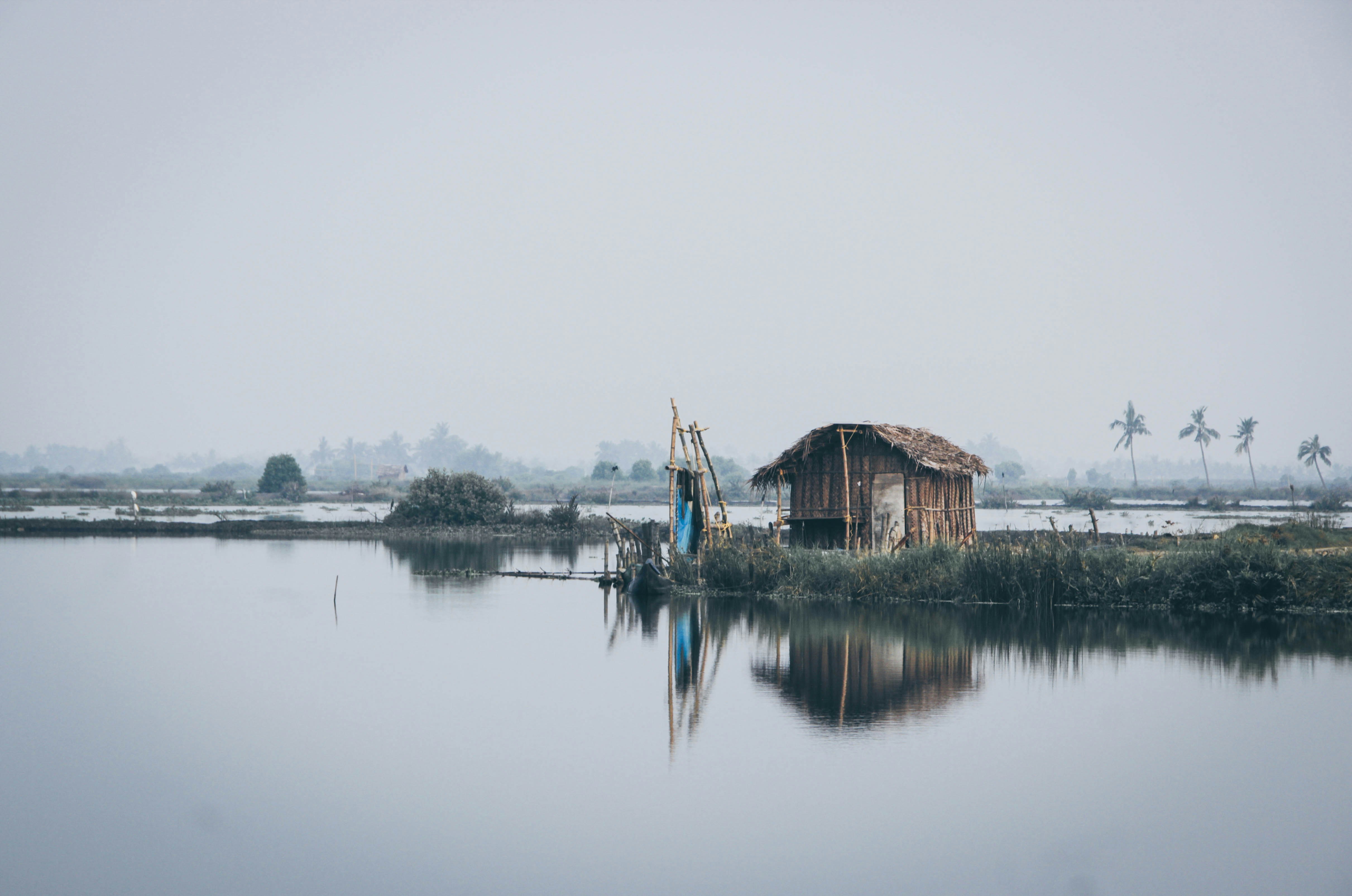 Rustic hut on a still waterbody with a soft morning mist and distant palm trees.