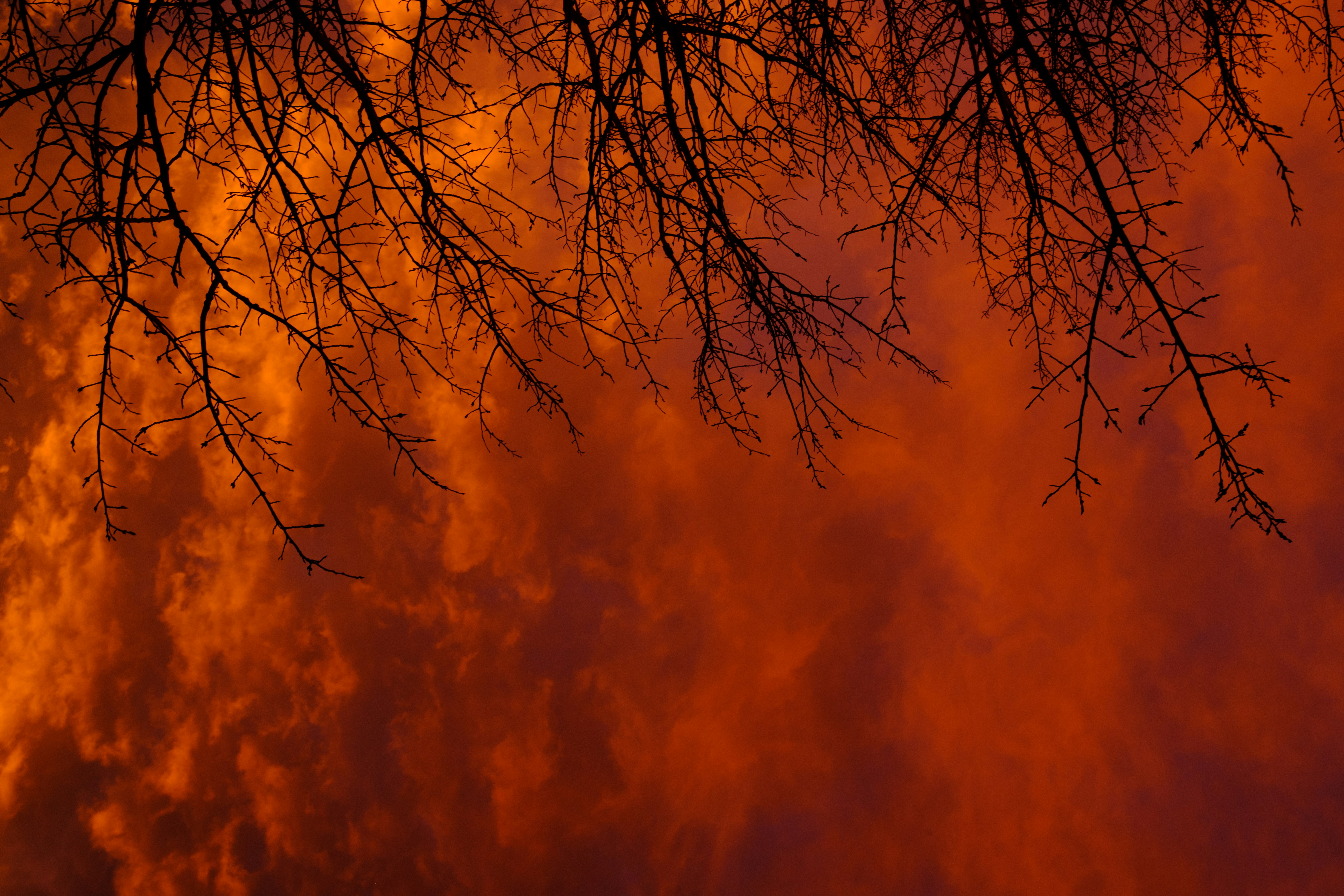 Orange Smoke Pictures | Download Free Images on Unsplash