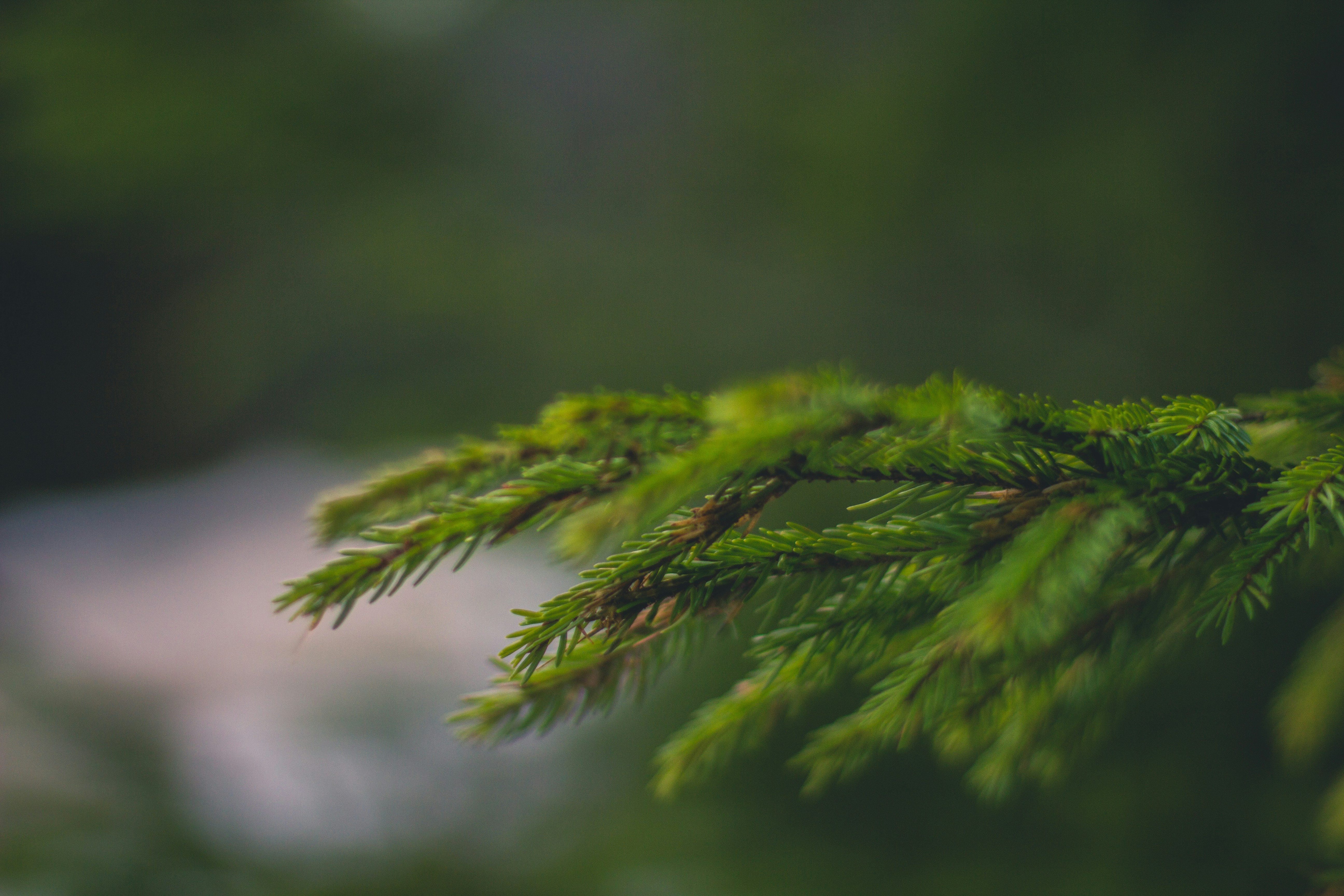 Paul Solomon (@paulsorry) | Communauté photos Unsplash