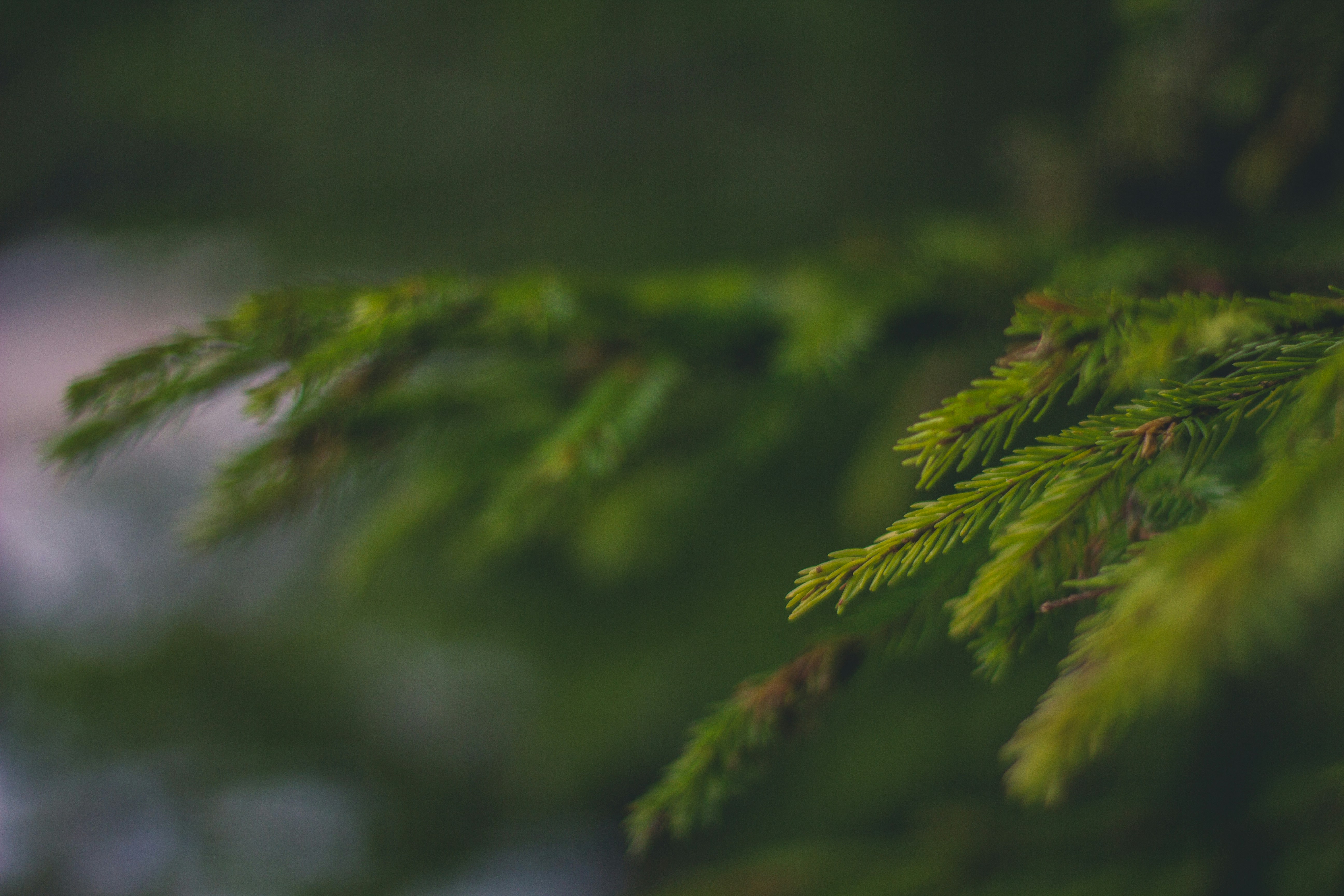 Paul Solomon (@paulsorry) | Communauté photos Unsplash