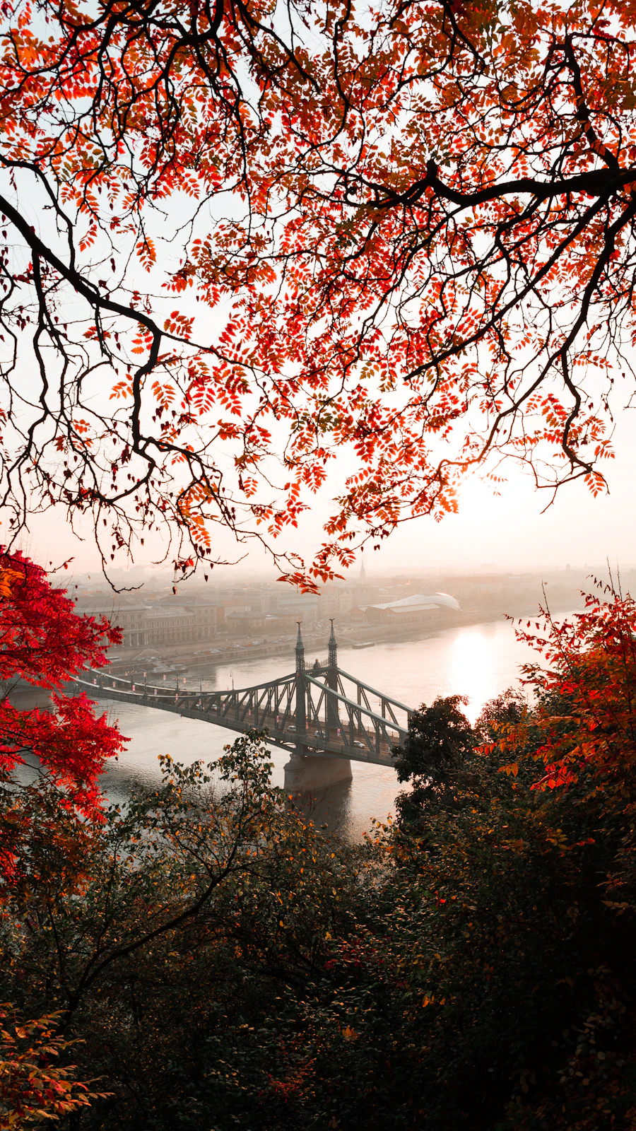 Red autumn leaves frame a suspension bridge crossing a calm river in hazy light. The city stretches softly beyond the water below.