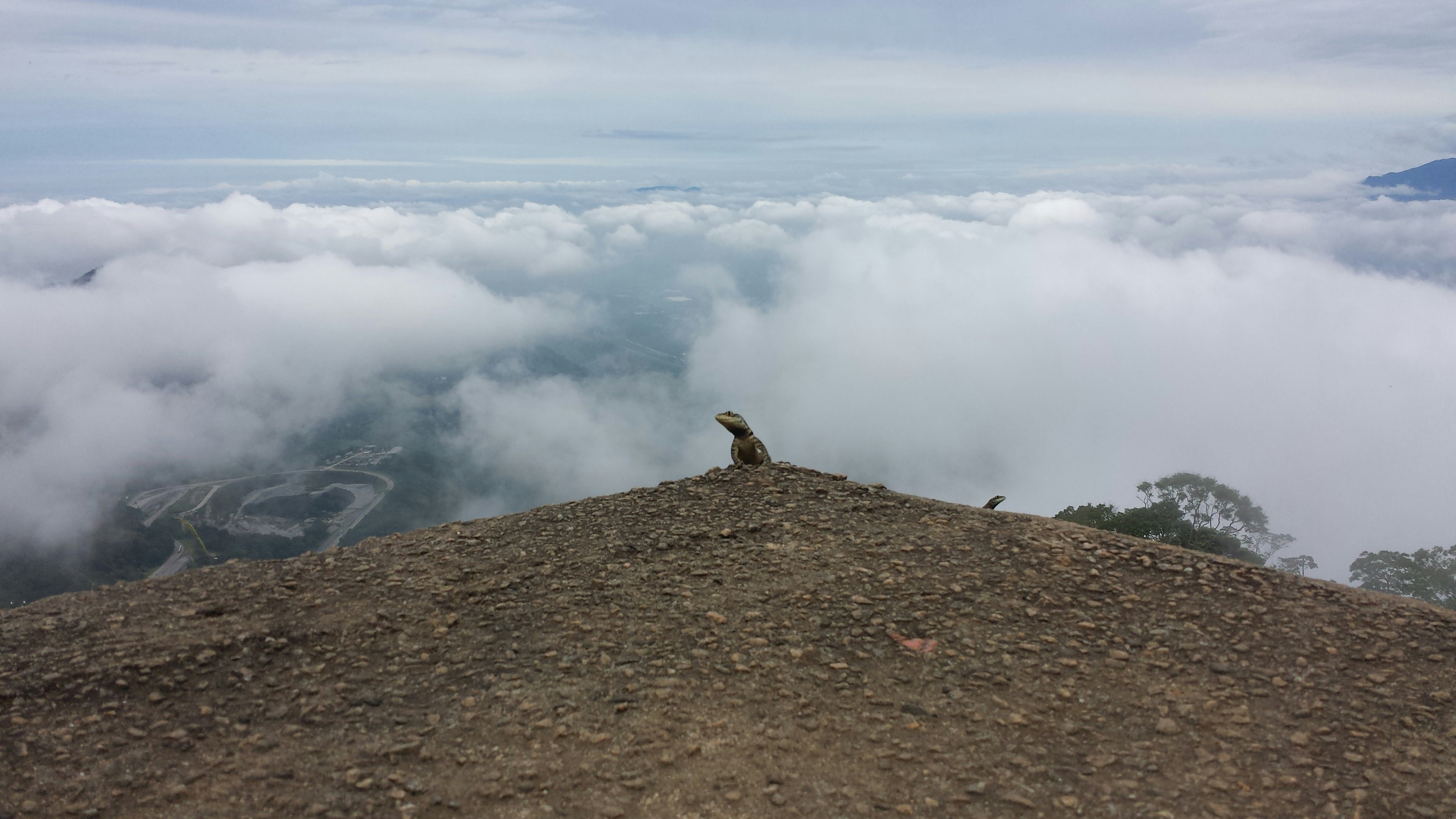A lone figure stands on a rocky peak overlooking a sea of clouds under a vast sky.