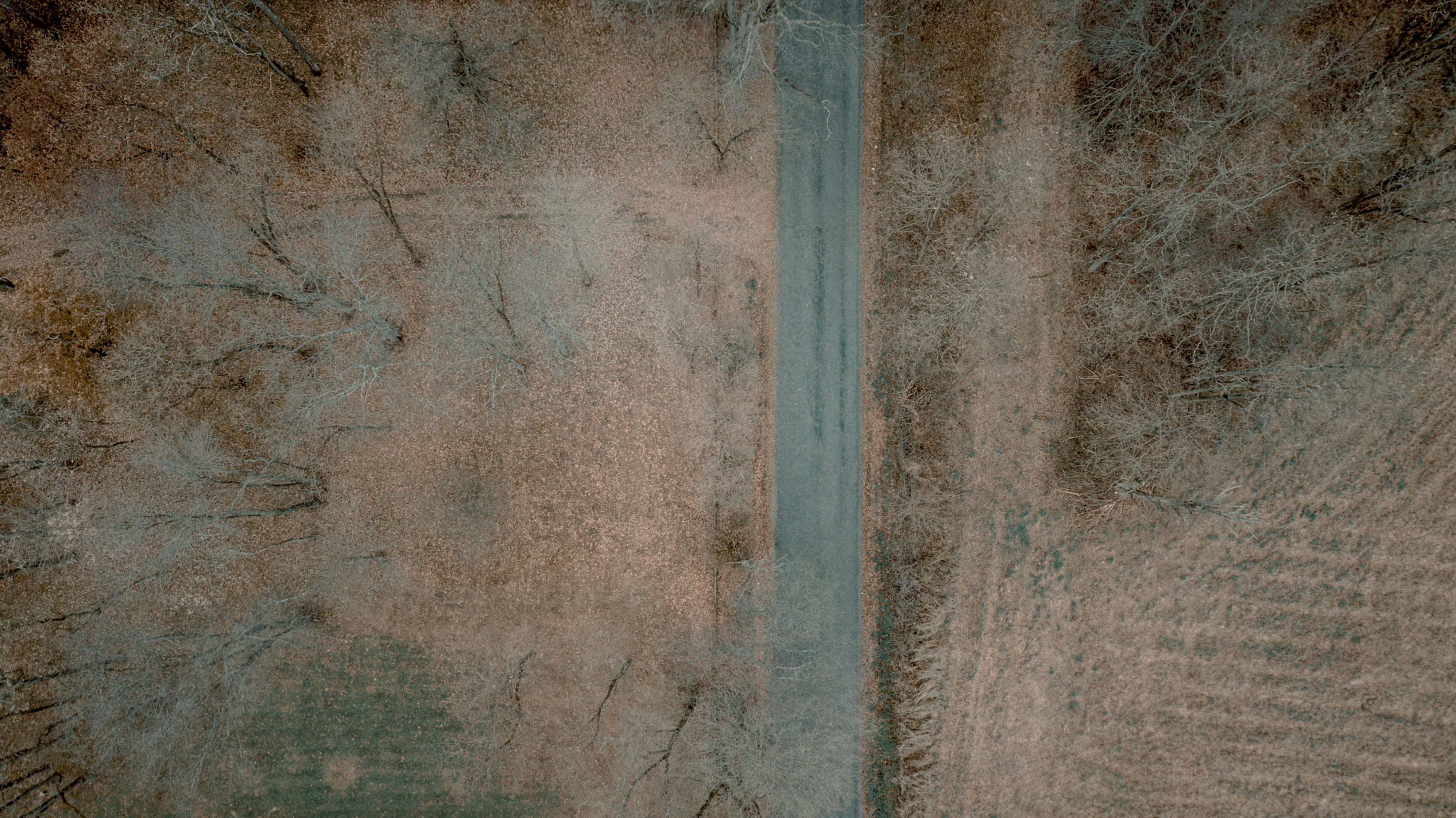 Aerial view of a winding road bordered by barren trees and fields, revealing the quiet beauty of an early winter landscape.