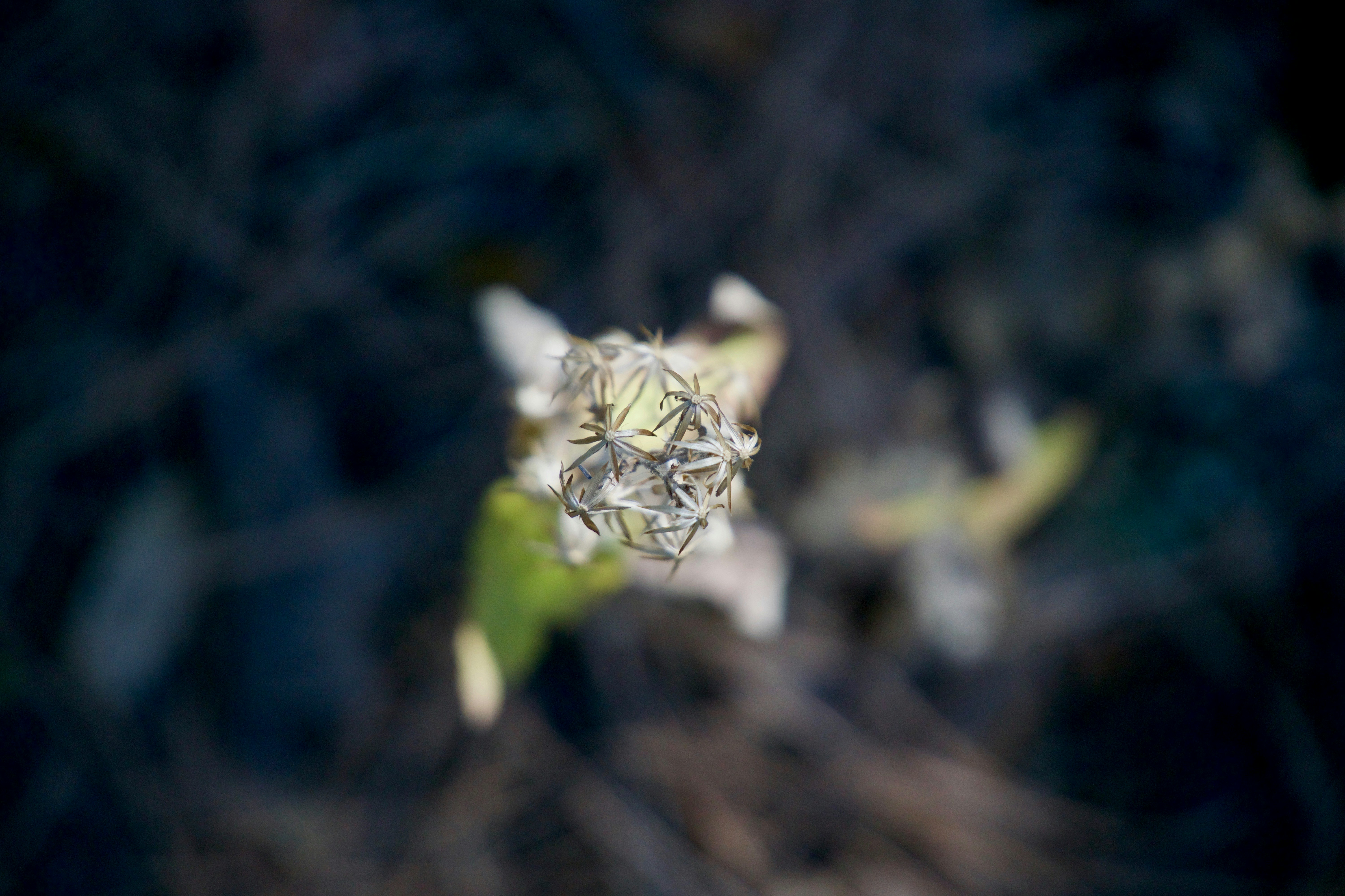 Alex Chambers (@alexchambers) | Comunidad de fotos de Unsplash