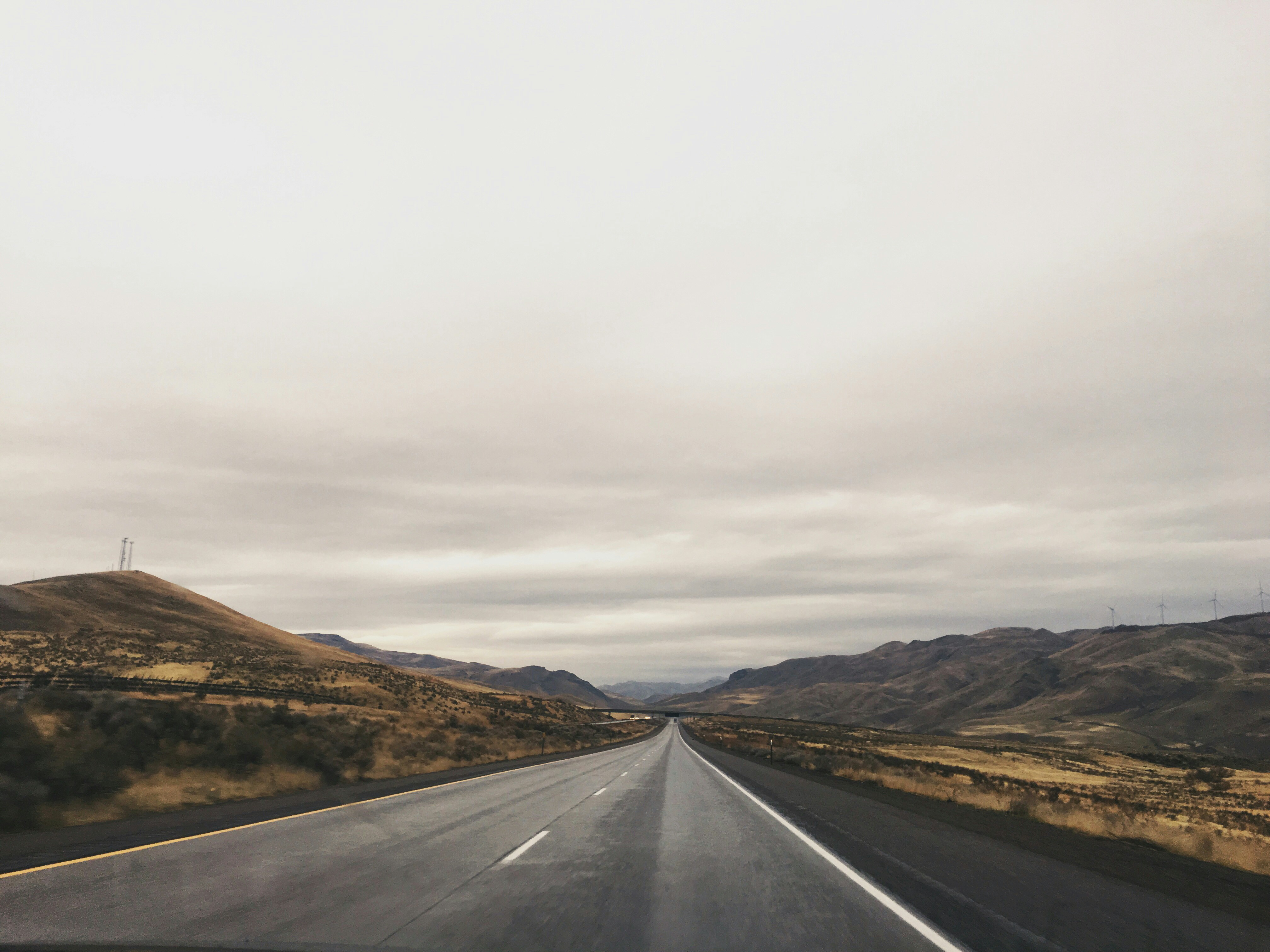 Gray asphalt road in between trees at daytime photo – Free Grey Image ...